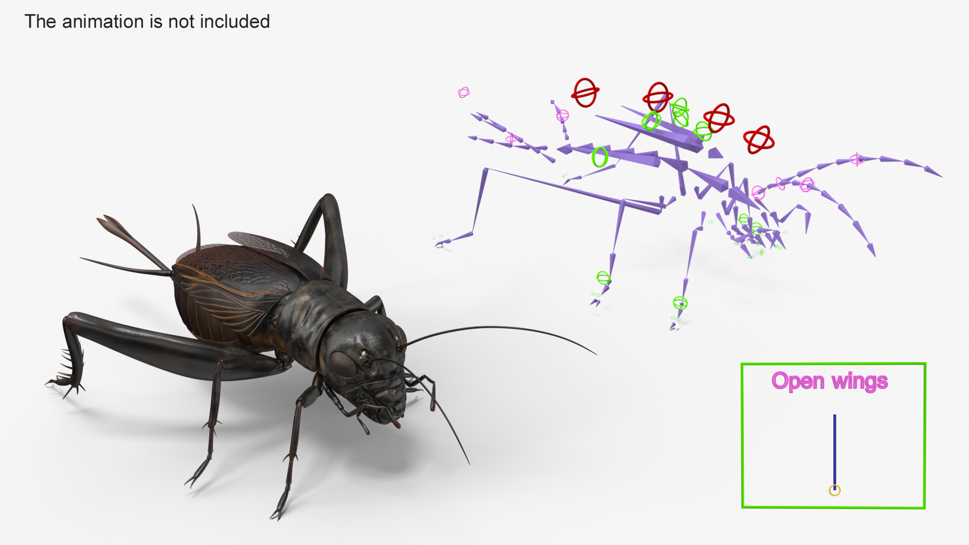 Field Cricket Rigged For Maya 3D - TurboSquid 2312390