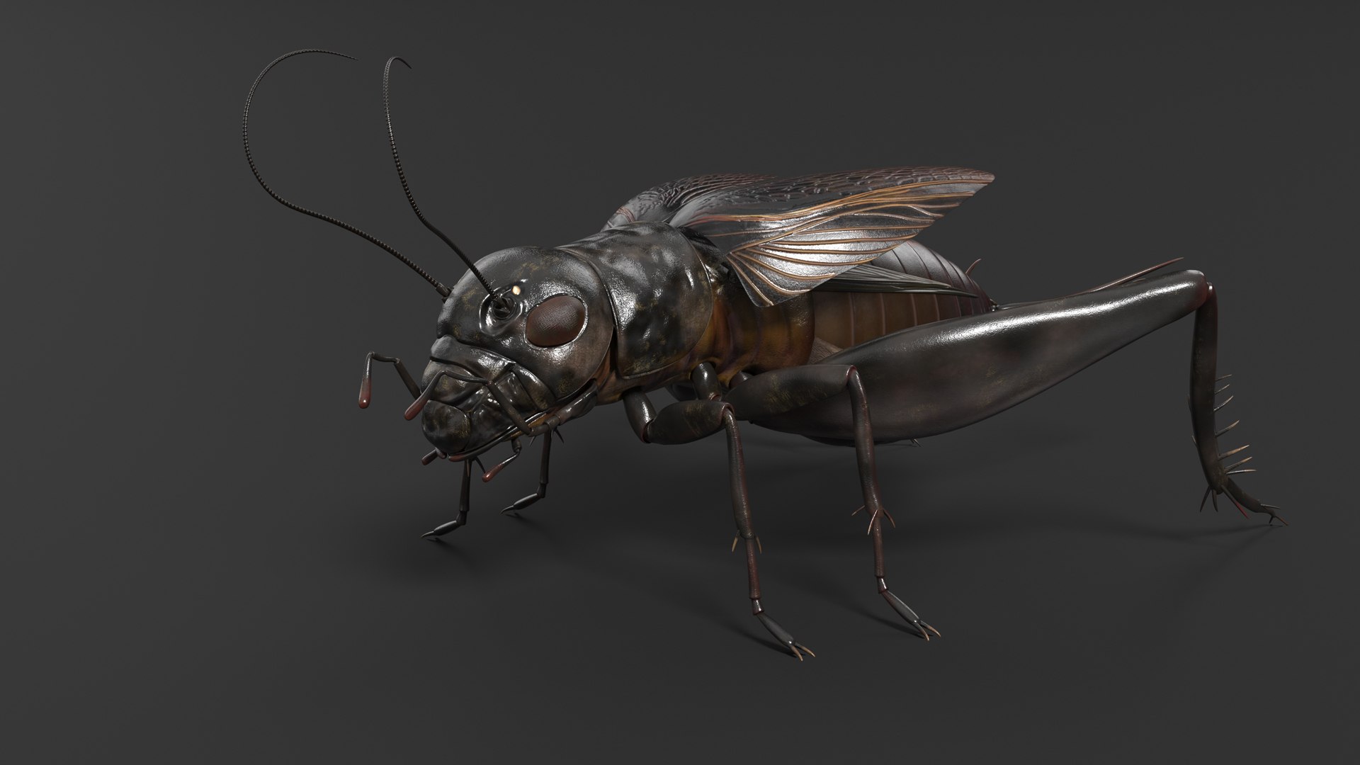 Field Cricket Rigged For Maya 3D - TurboSquid 2312390
