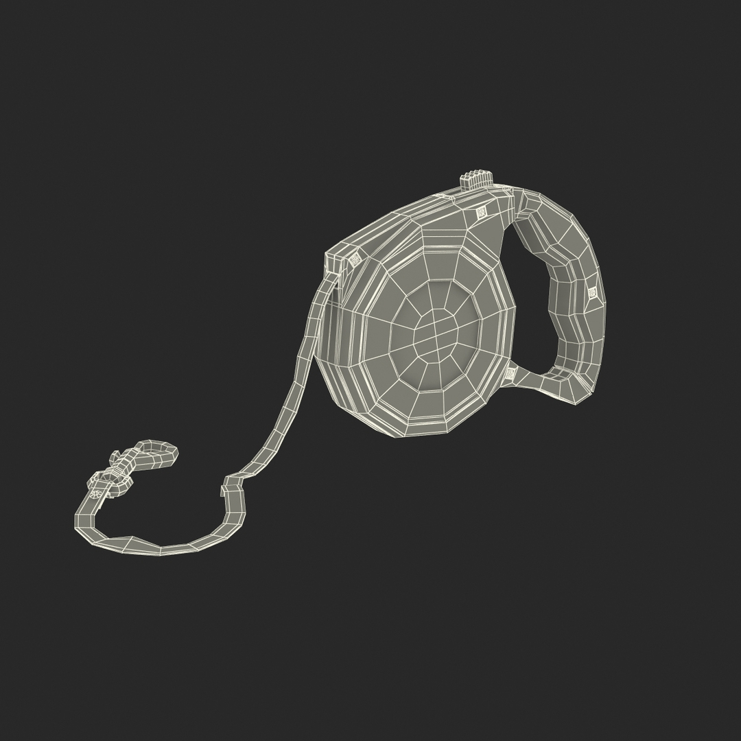 3d Retractable Dog Leash