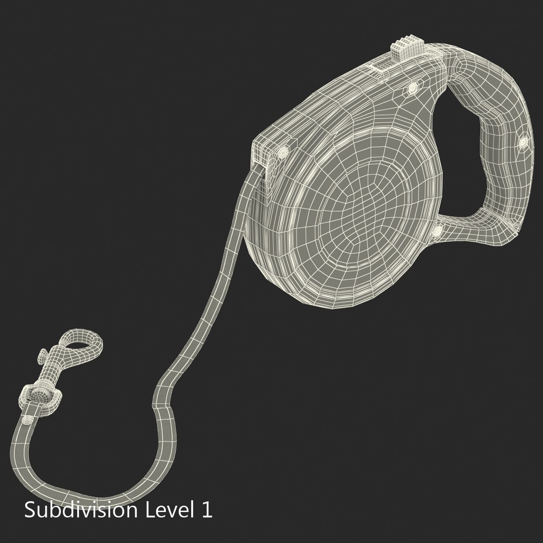 3d Retractable Dog Leash