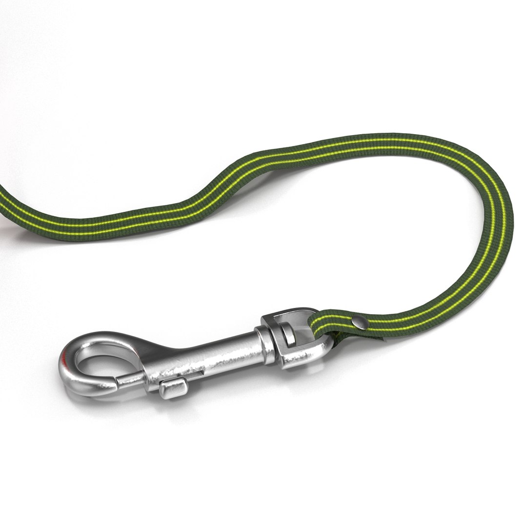 3d Retractable Dog Leash