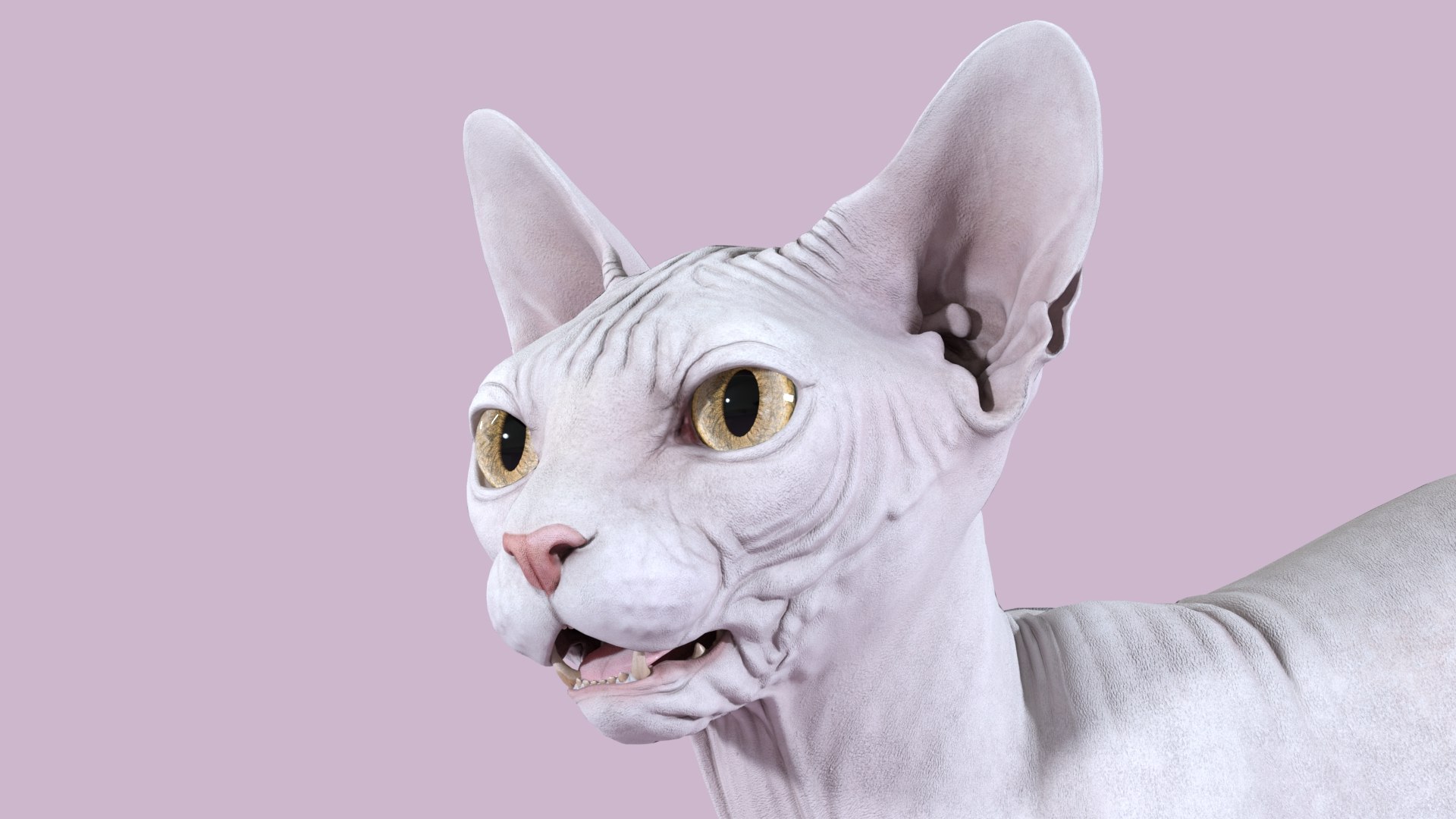 Sphynx Cat Standing Model - TurboSquid 1669041