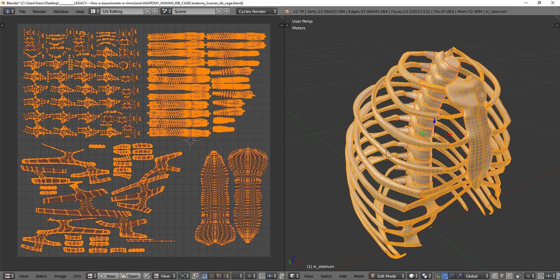 Human Rib Cage 3D Model - TurboSquid 1176687