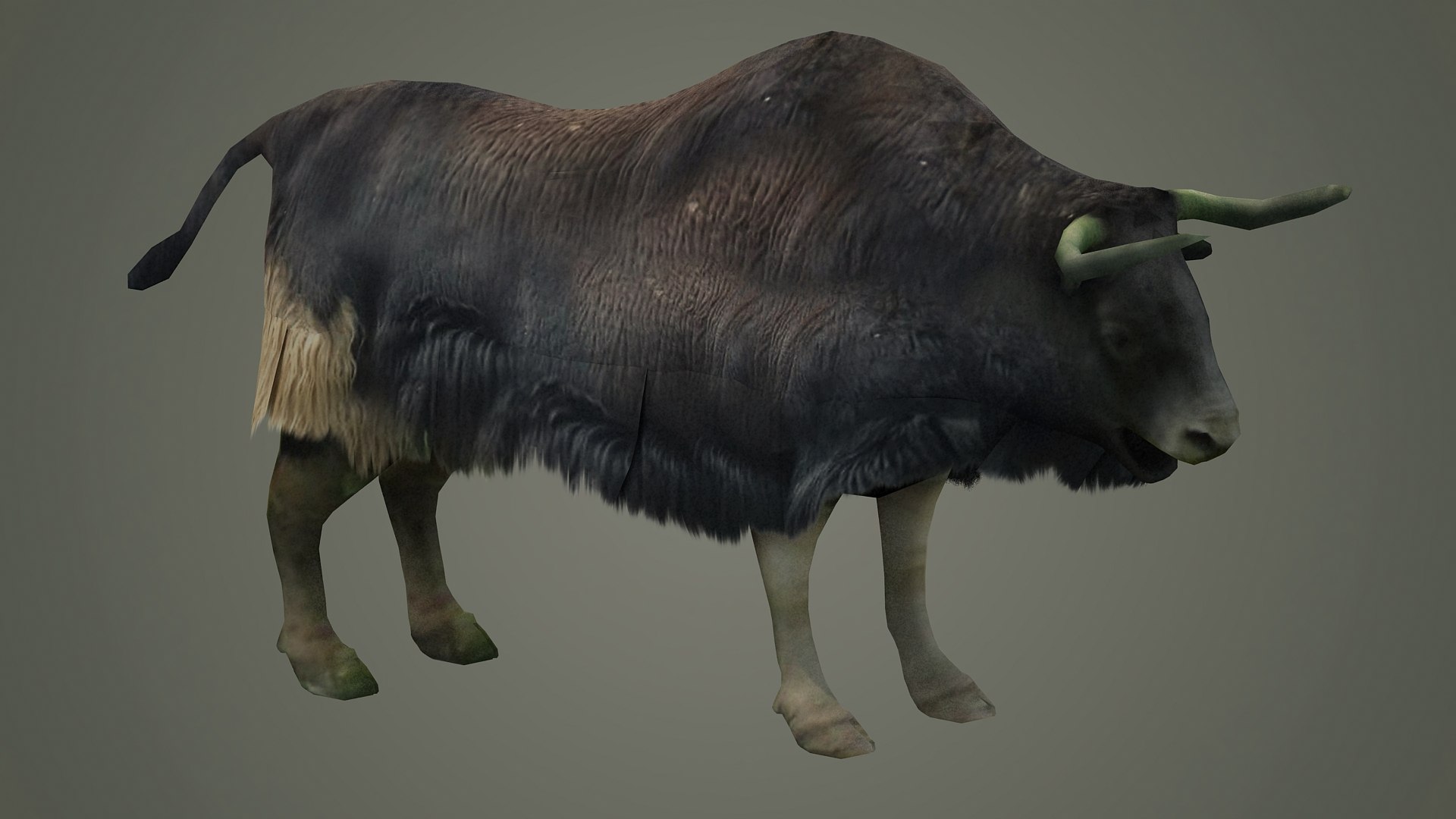 3D Animals Mammal Animation Nature Wild Ox Yak Domestic Yak Model ...