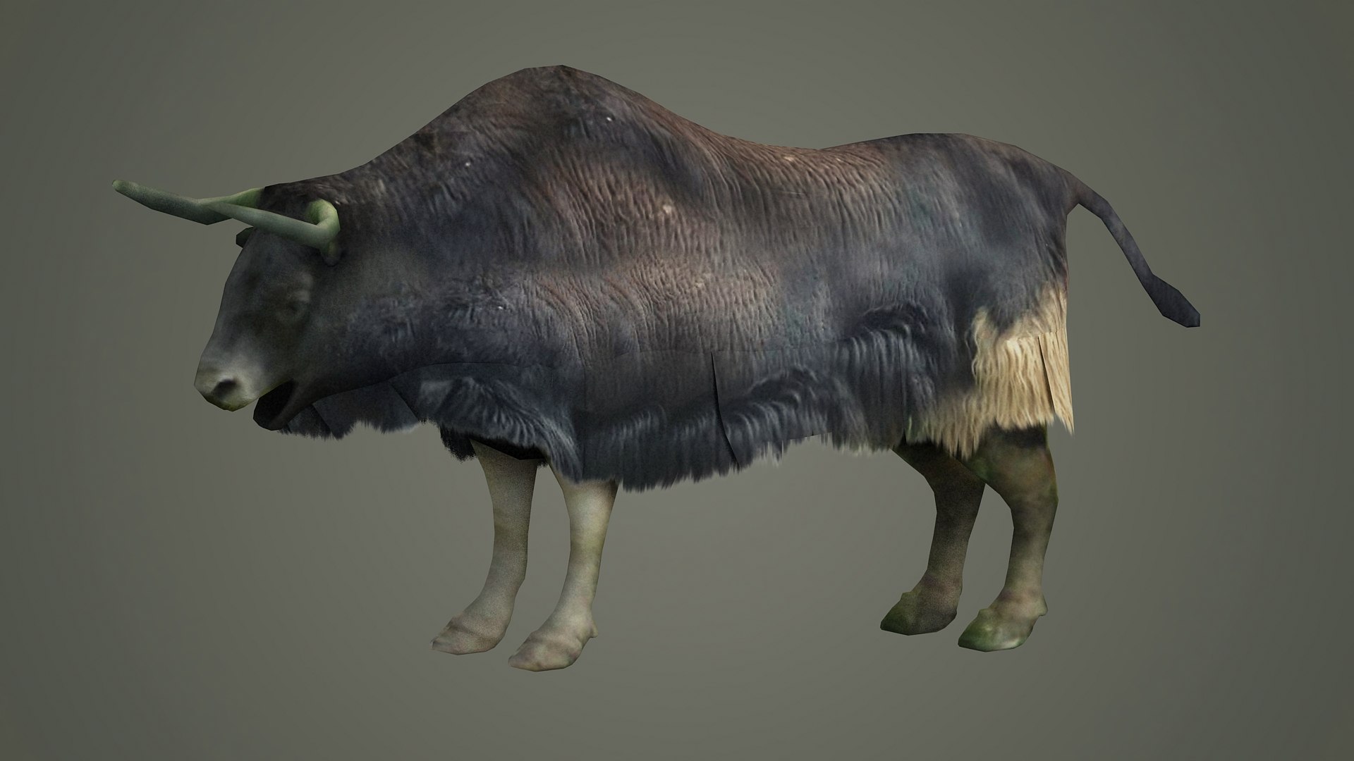 3D Animals Mammal Animation Nature Wild Ox Yak Domestic Yak Model ...
