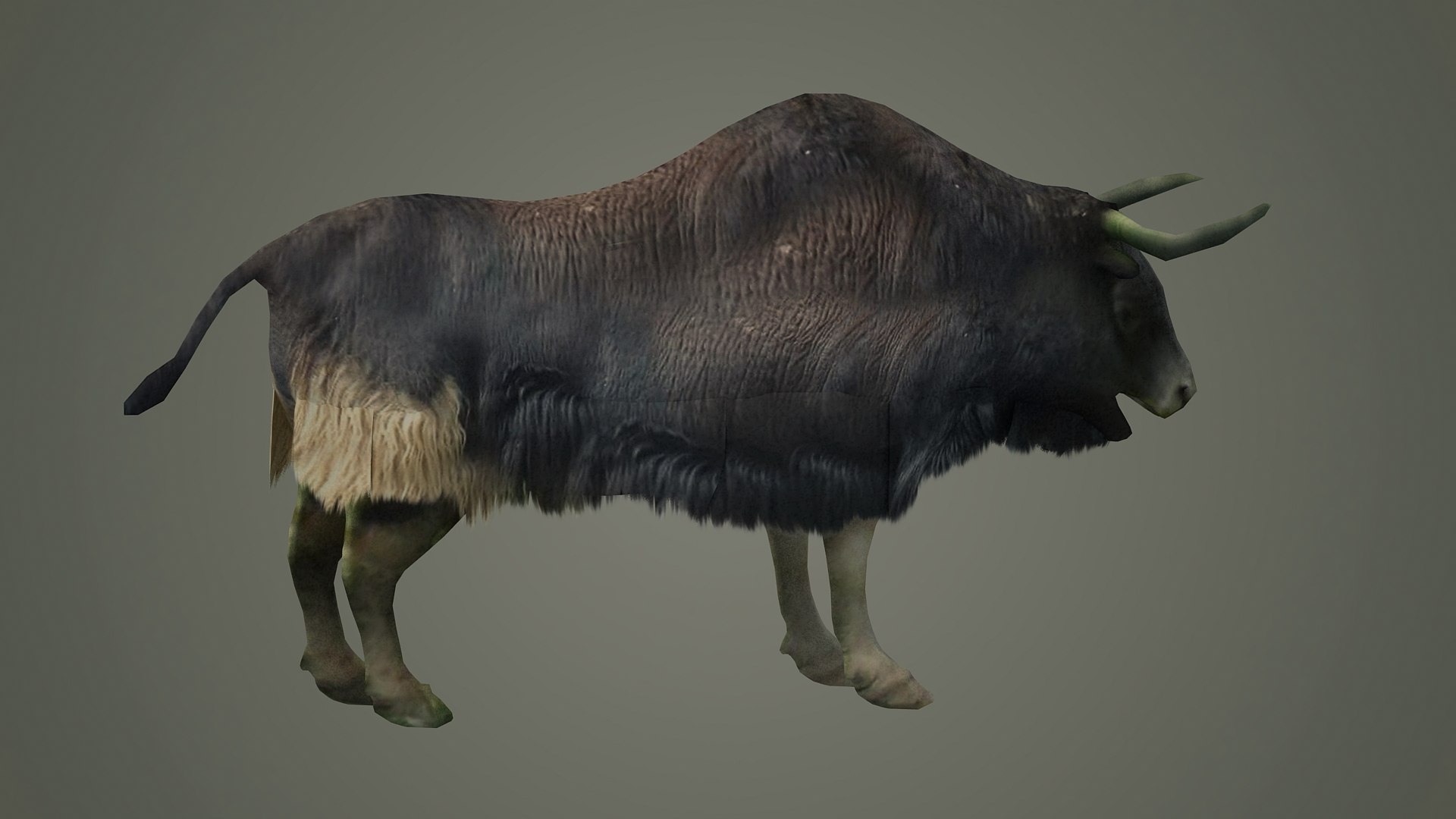 3D Animals Mammal Animation Nature Wild Ox Yak Domestic Yak Model ...