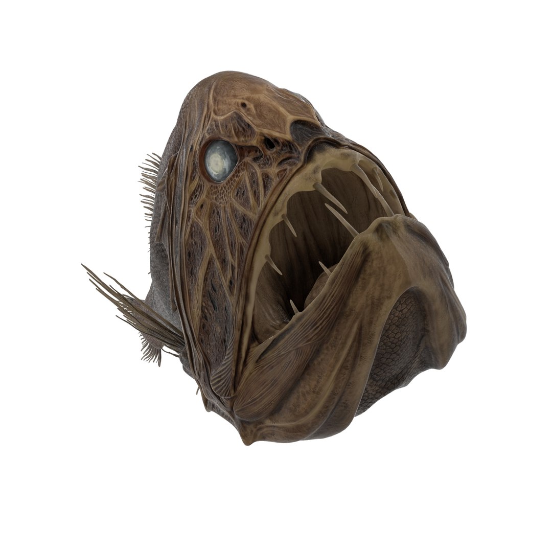 3d model fangtooth fish 2