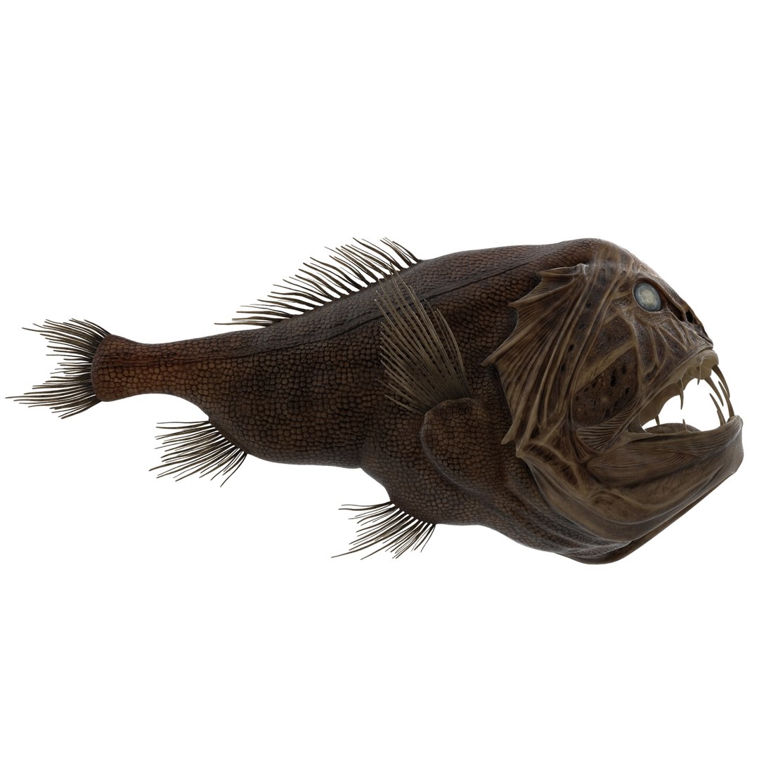 3d model fangtooth fish 2
