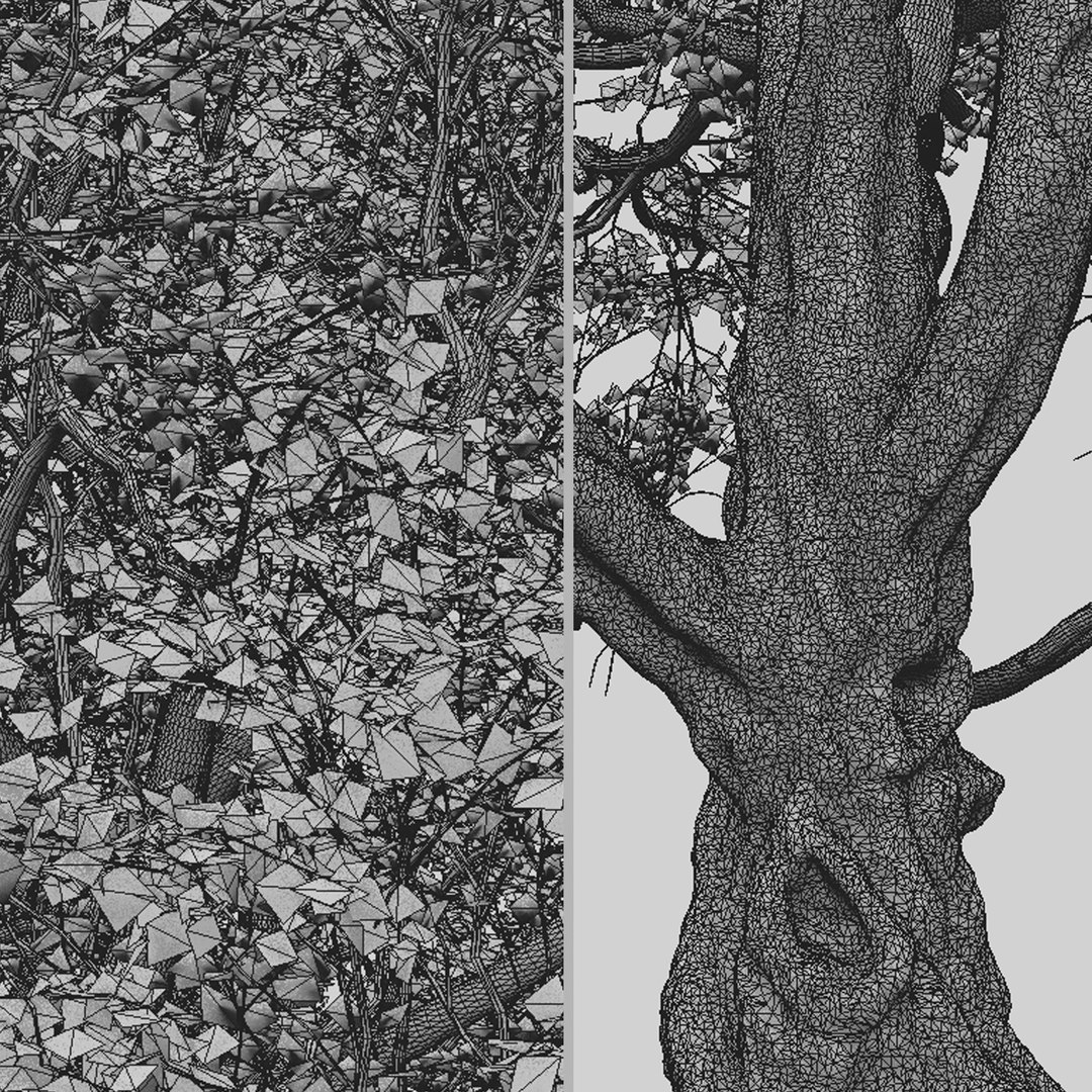 3D Set Of Eucalyptus Polyanthemos Or Red Box Tree - 2 Trees ...