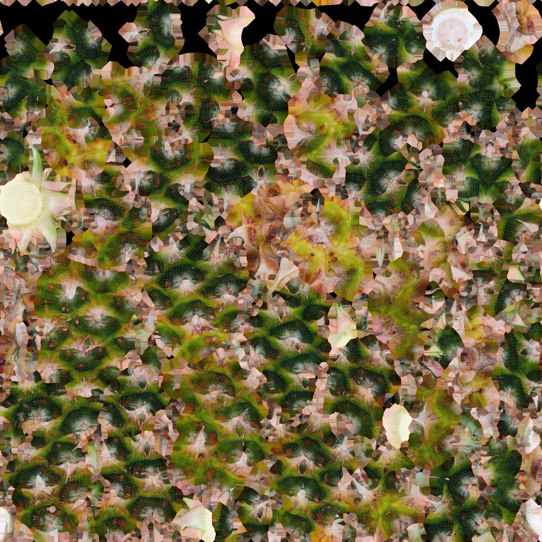 3D High Quality Scan Pineapple - 1 - TurboSquid 2186511