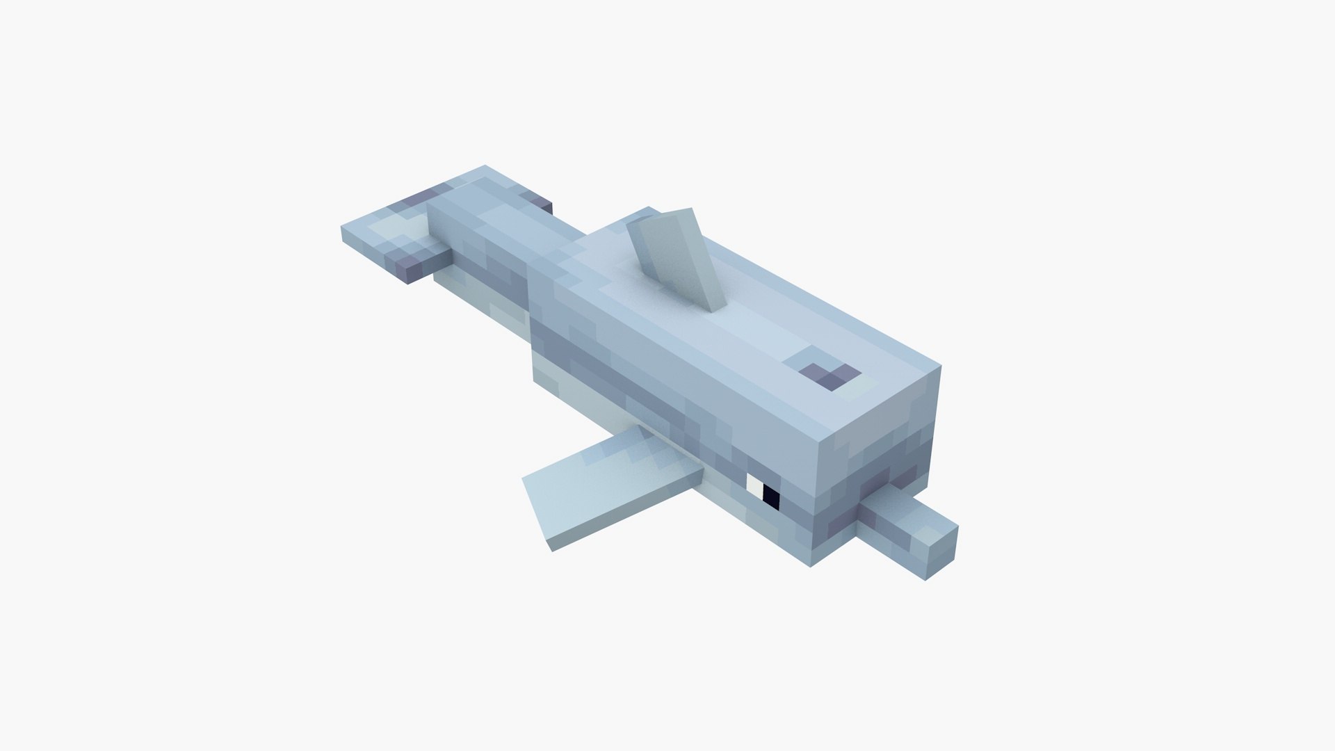 3D Dolphin Minecraft - TurboSquid 2364645