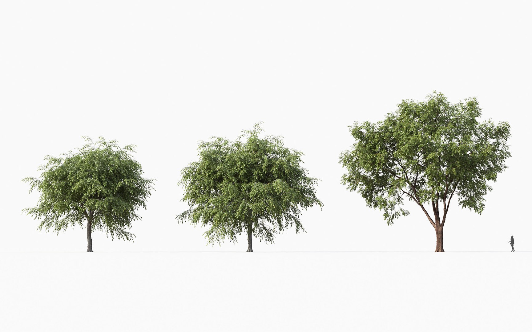 Tree Includes Growfx Files Model - TurboSquid 1650696