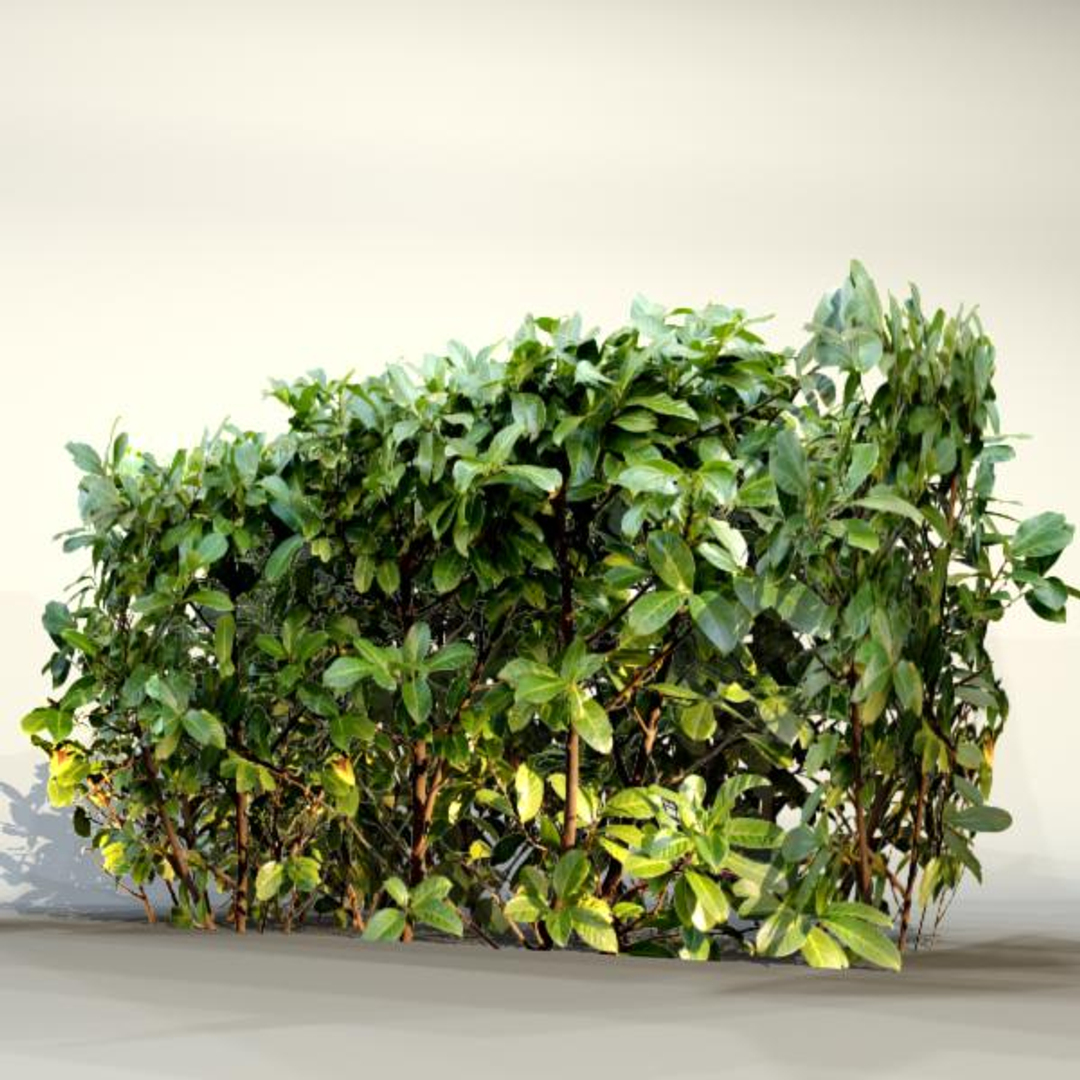 3d model of pc bush
