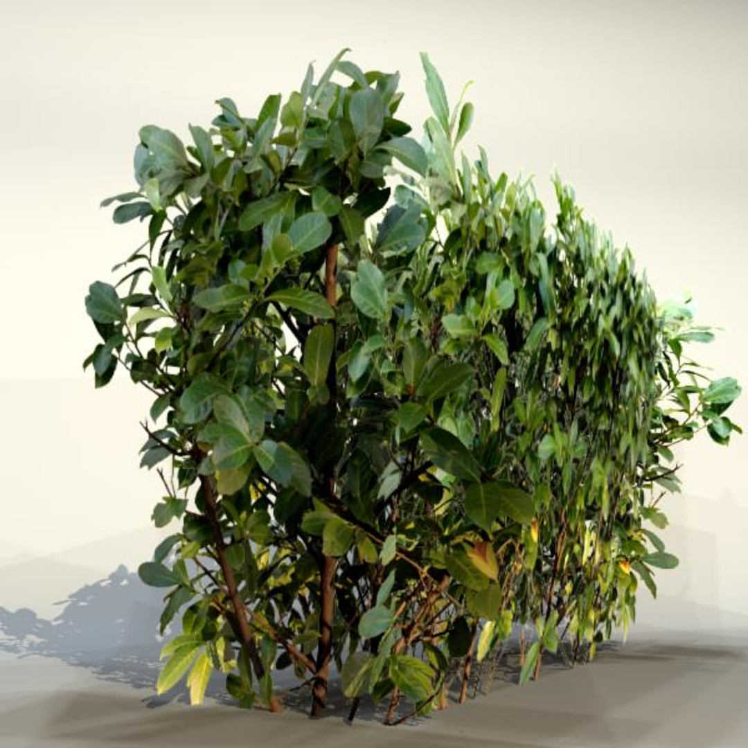 3d model of pc bush