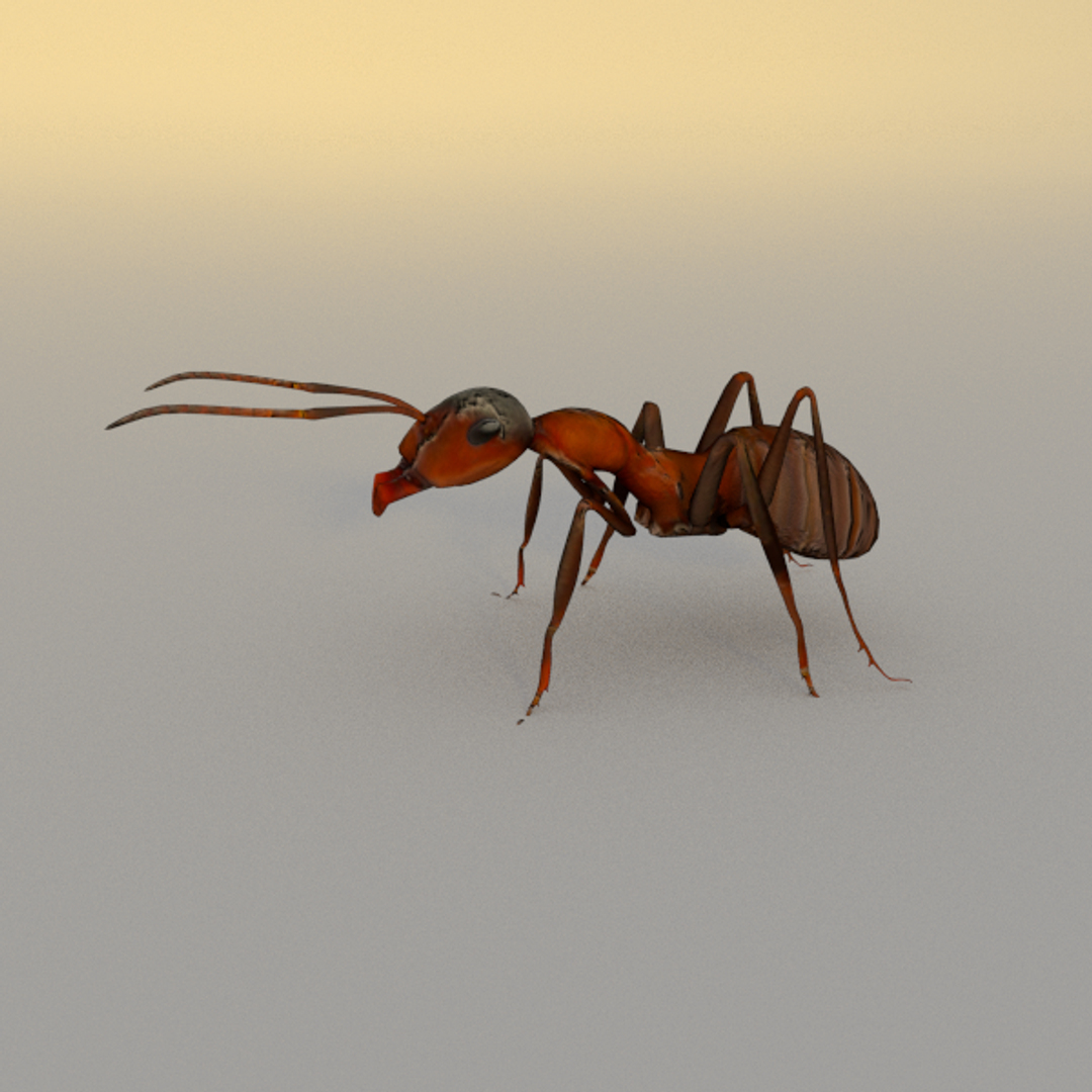 Blend Ultimate Insects Pack