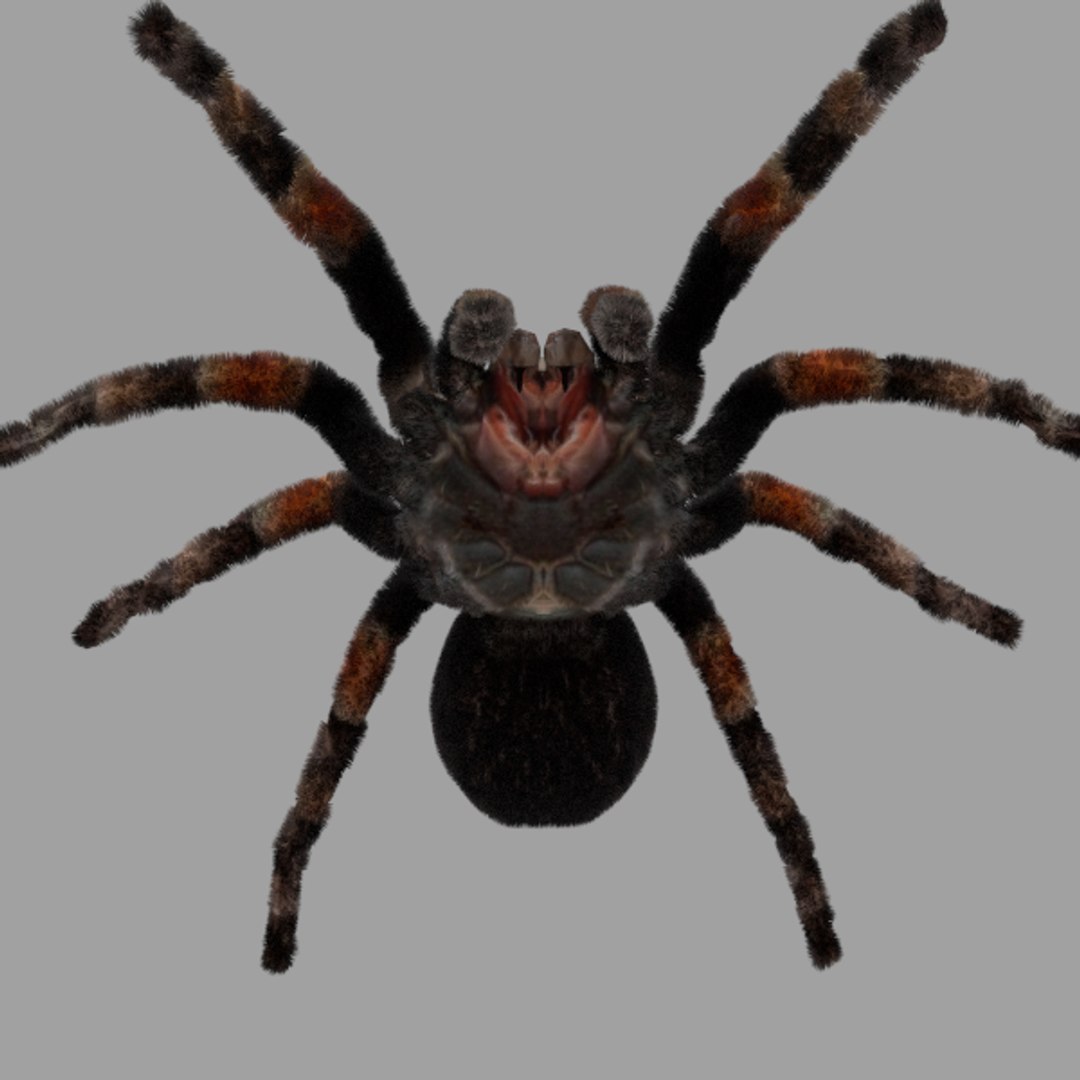 Blend Ultimate Insects Pack