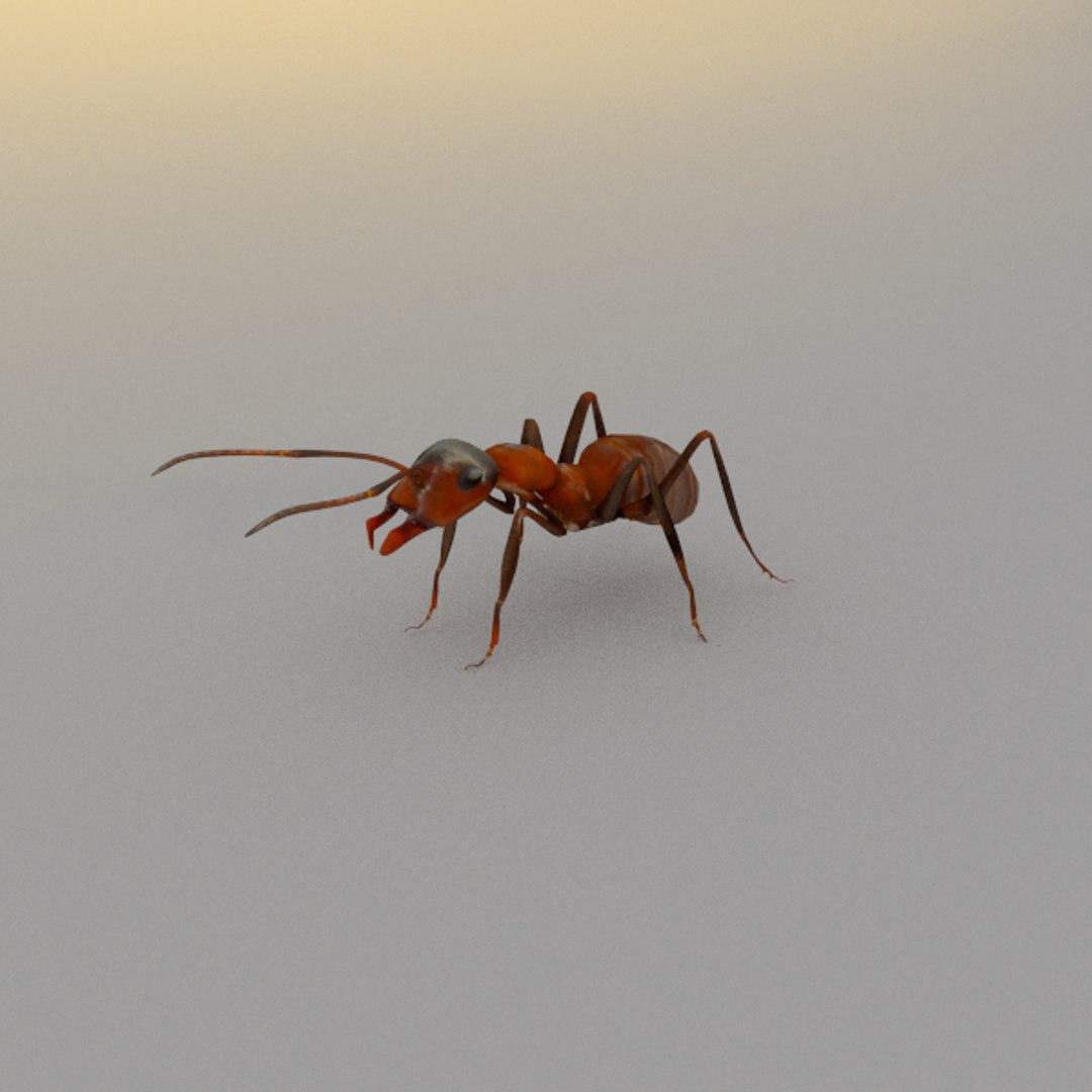 Blend Ultimate Insects Pack