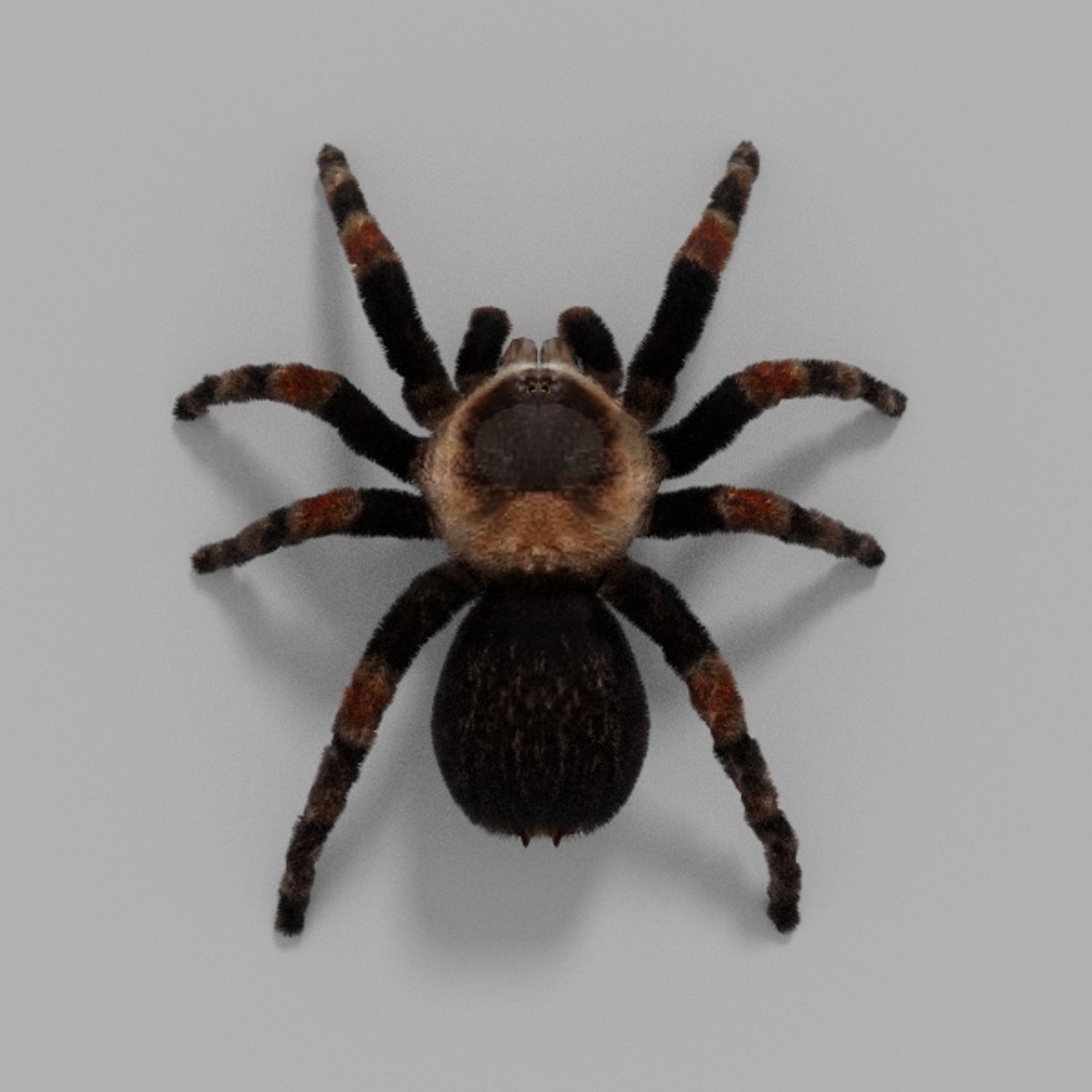 Blend Ultimate Insects Pack