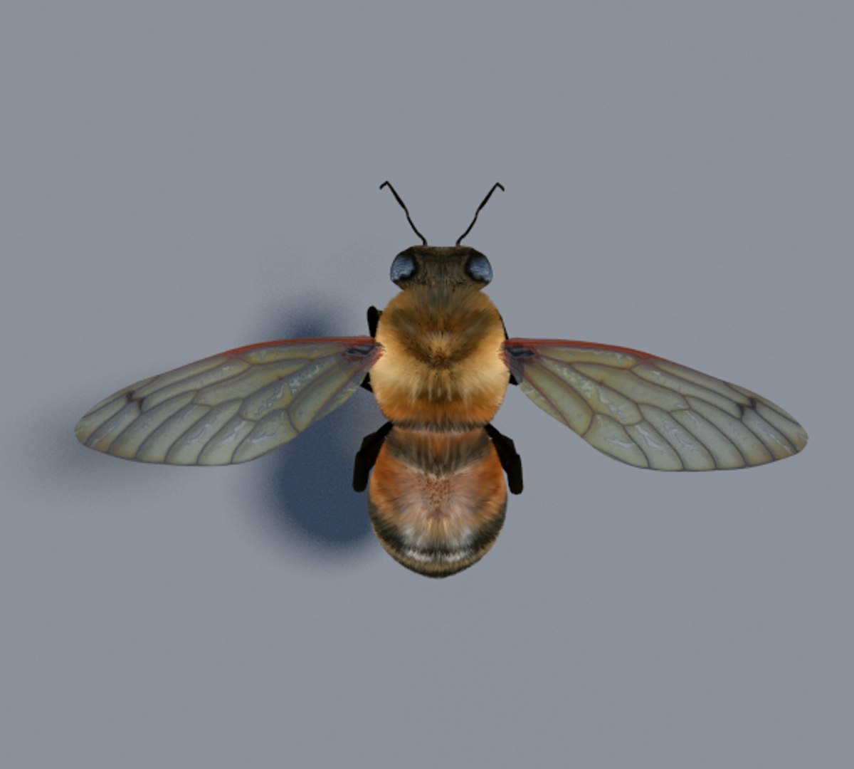 Blend Ultimate Insects Pack