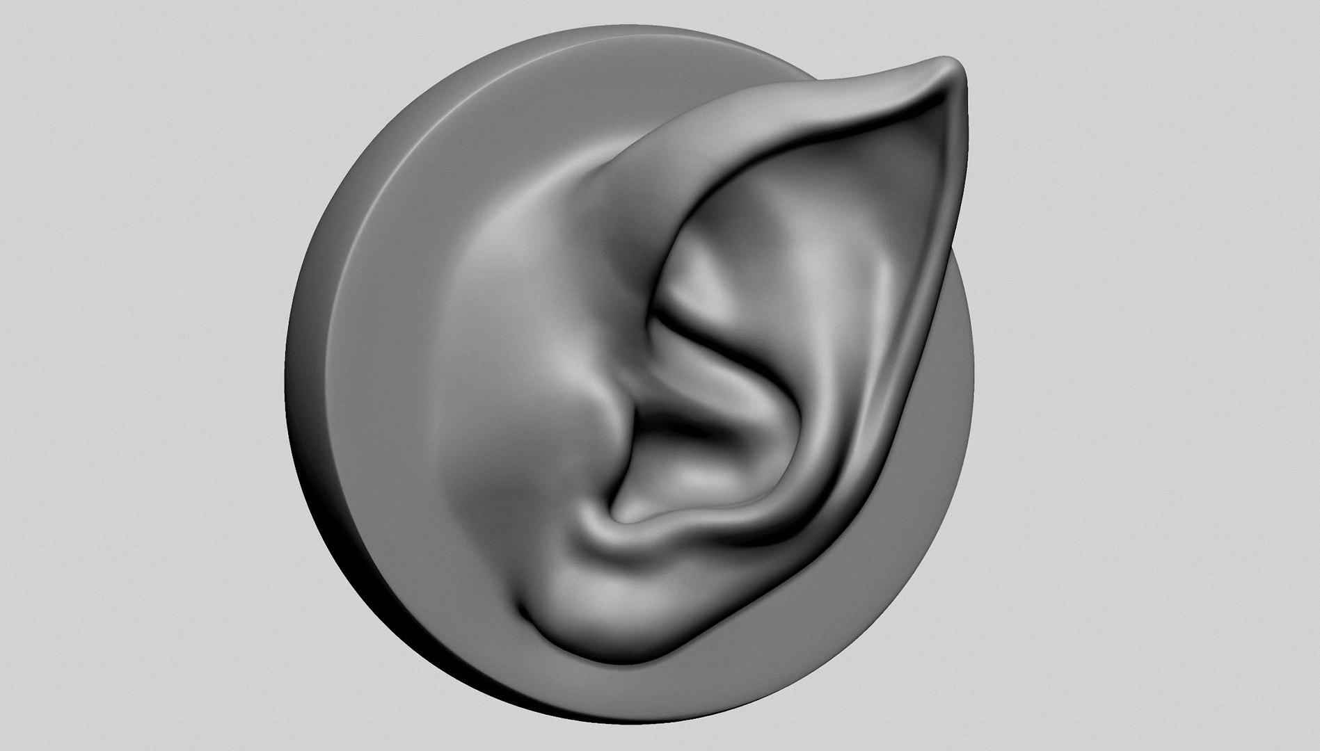 Ear Model With Different Types 3D - TurboSquid 2004932