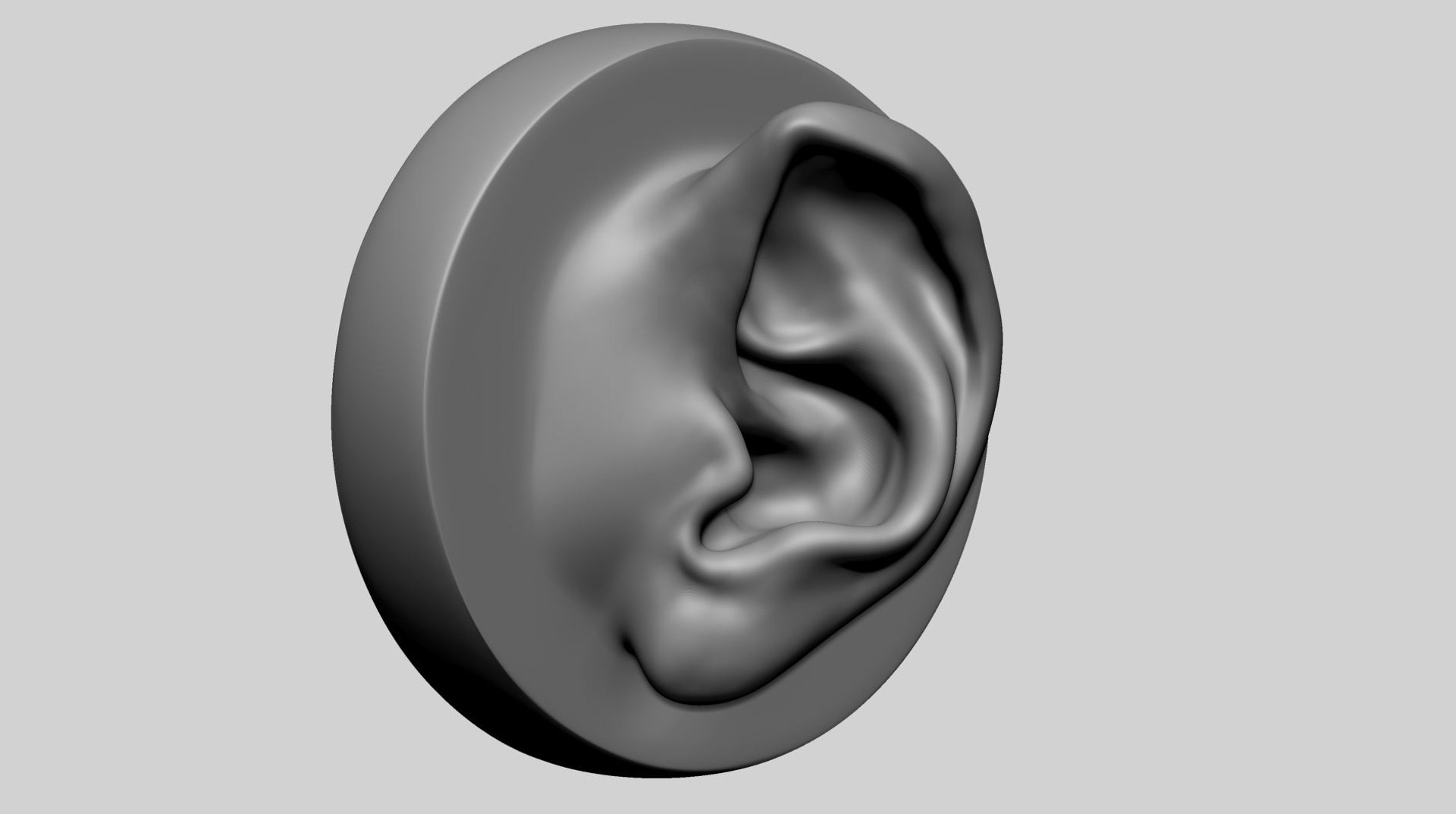 Ear Model With Different Types 3D - TurboSquid 2004932