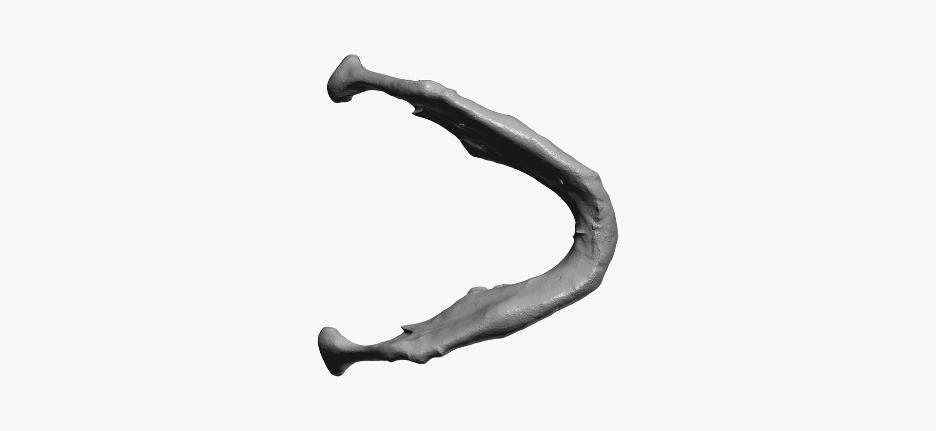 3D Model Human Jawbone Mandible 02 - TurboSquid 1550982