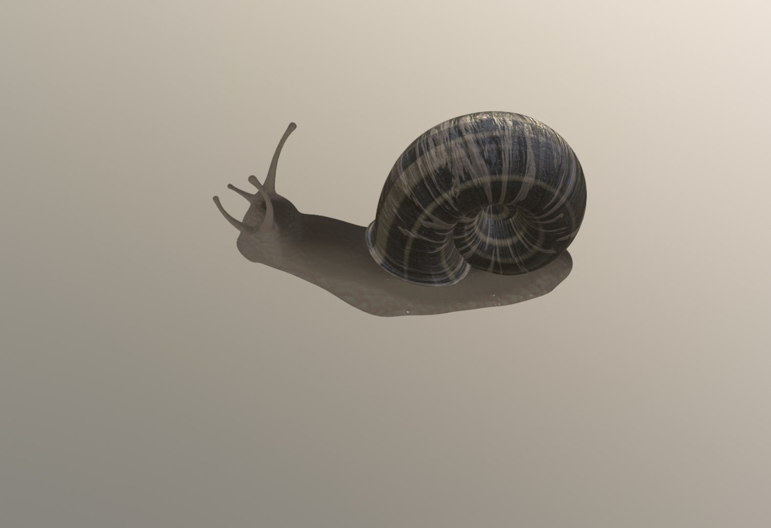 3D snail blender eevee - TurboSquid 1530791