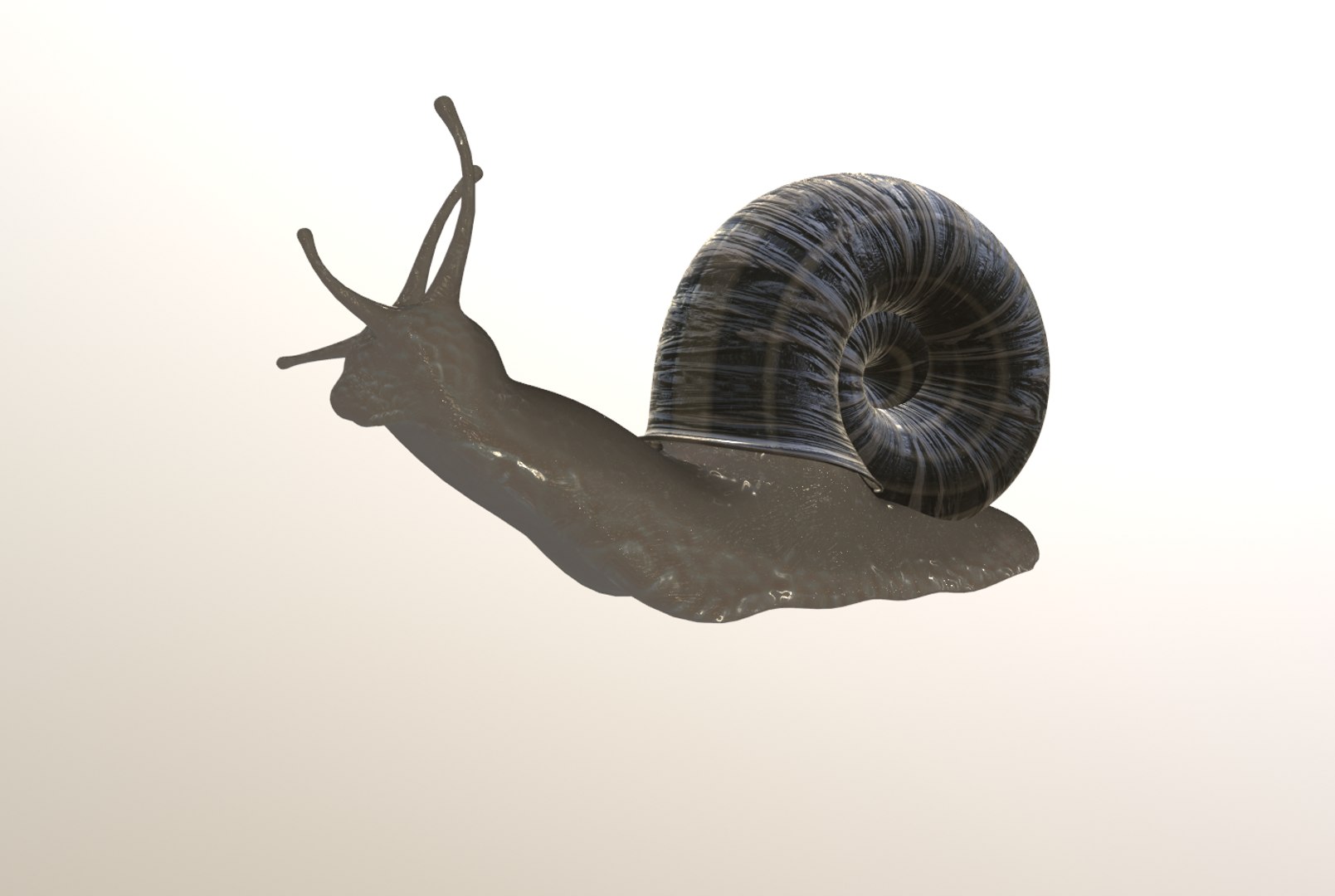 3D snail blender eevee - TurboSquid 1530791
