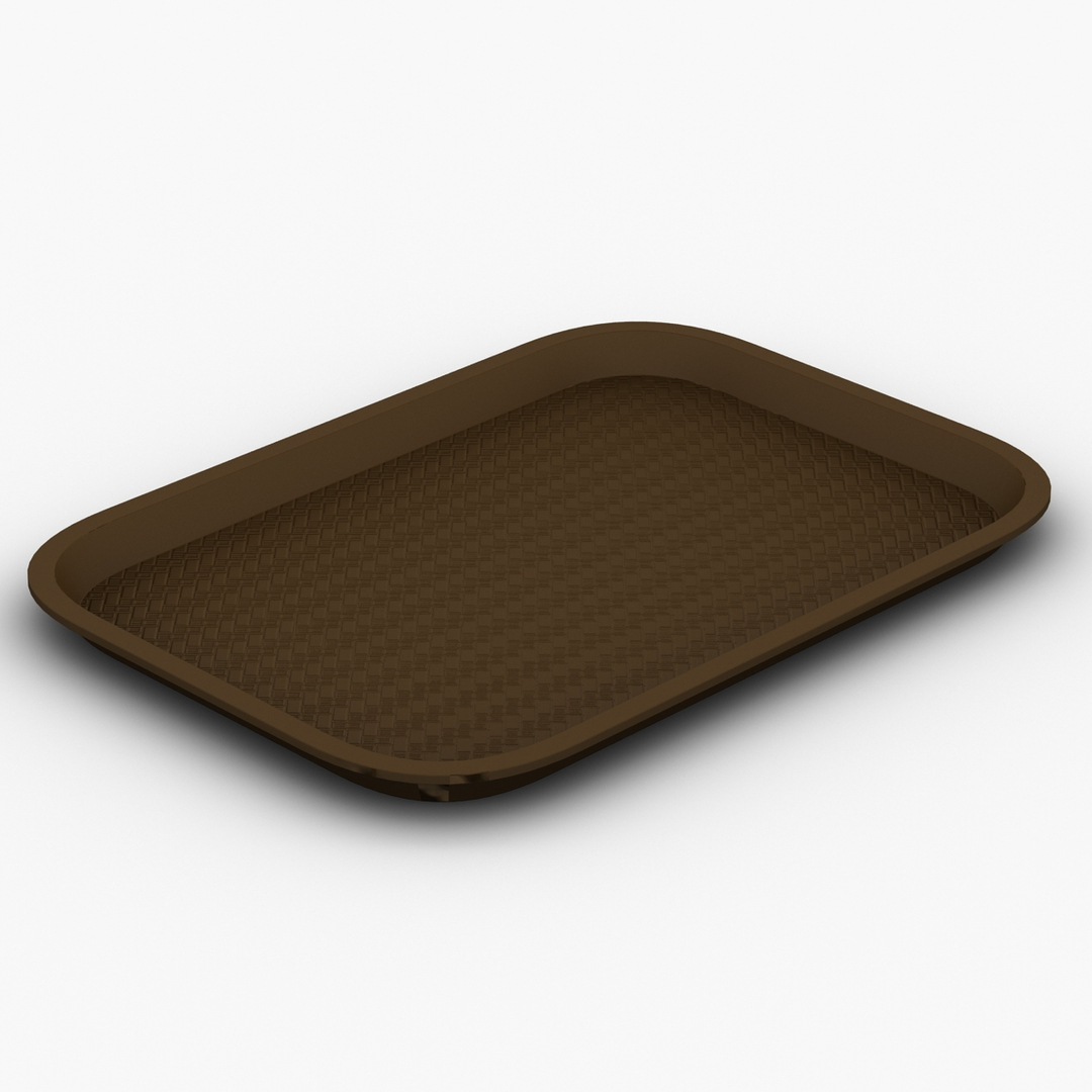 3d tray model
