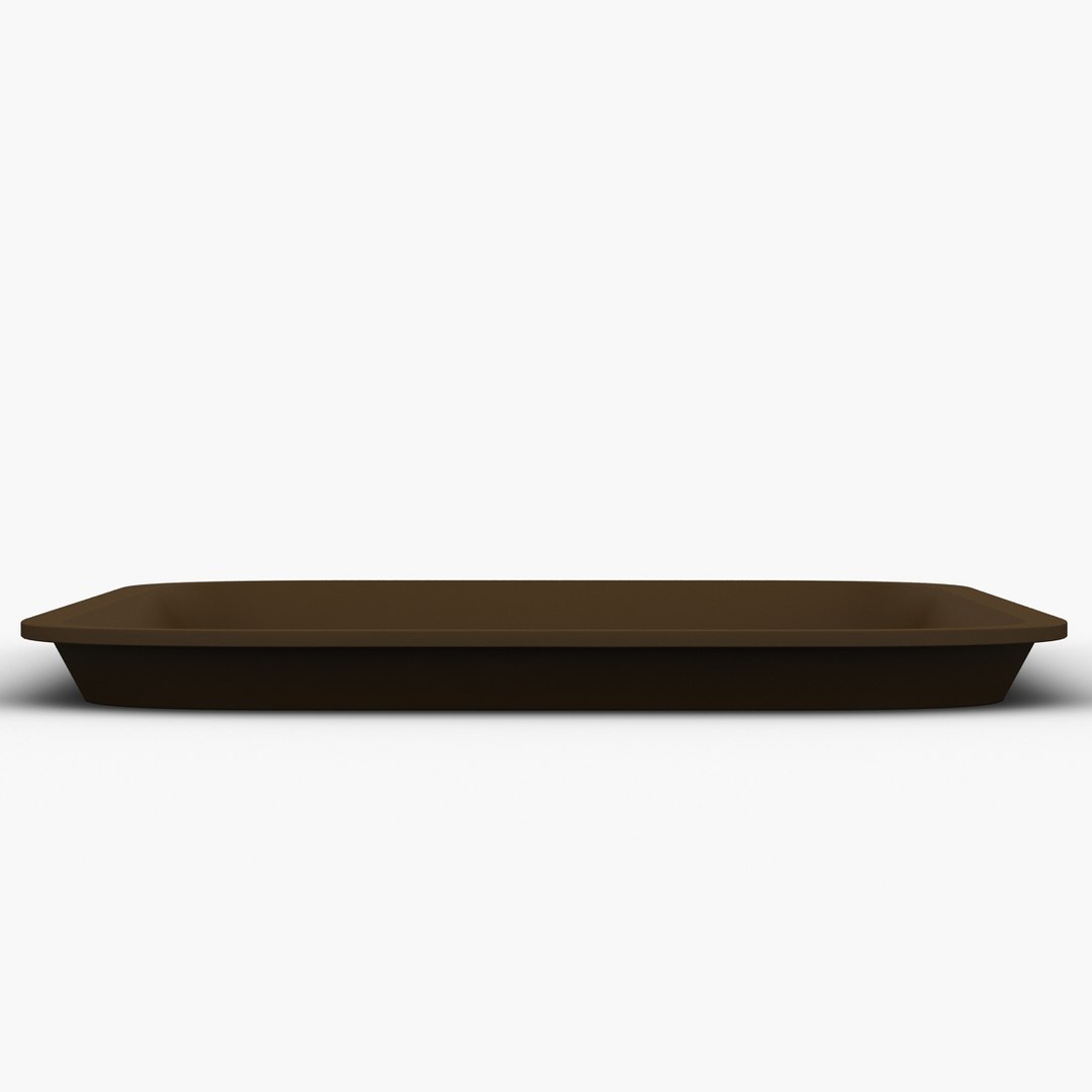 3d tray model