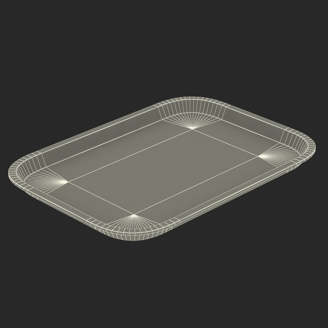 3d tray model