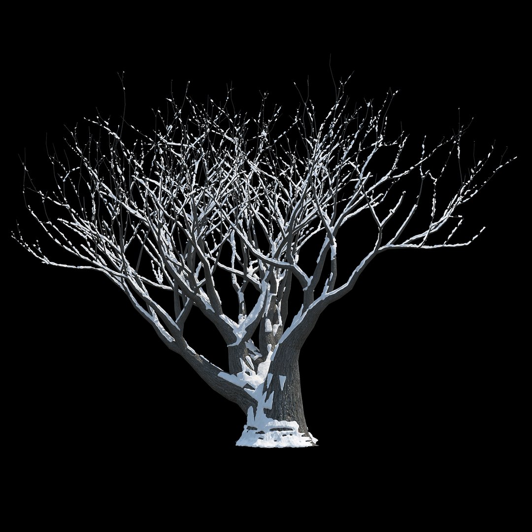 3D Winter Tree 021 Model - TurboSquid 1232614