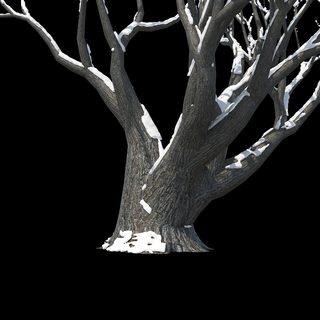 3D Winter Tree 021 Model - TurboSquid 1232614