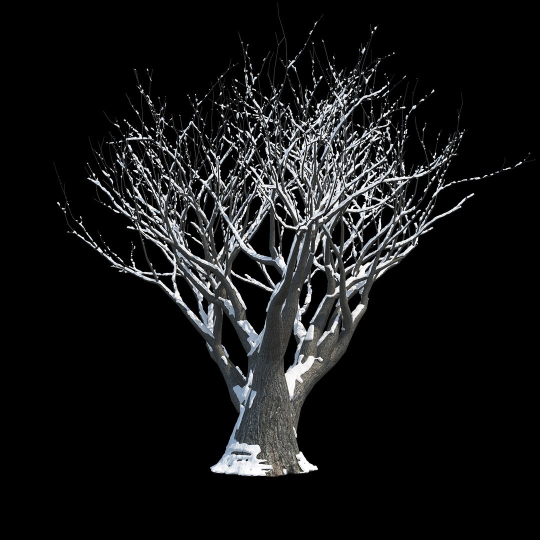 3D Winter Tree 021 Model - TurboSquid 1232614