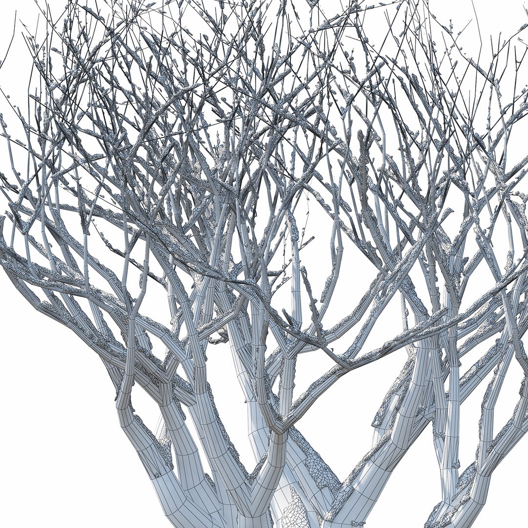 3D Winter Tree 021 Model - TurboSquid 1232614
