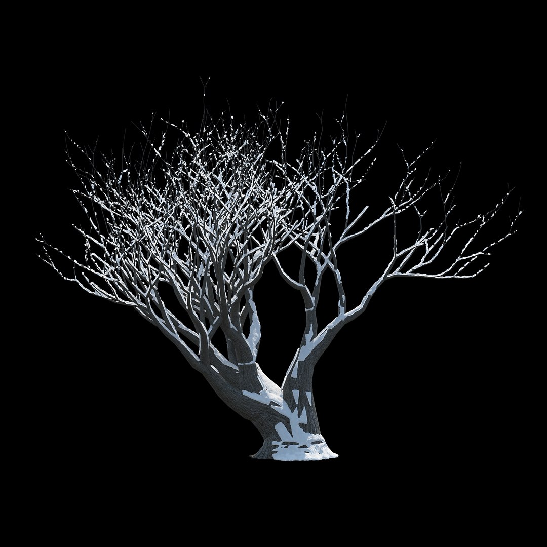 3D Winter Tree 021 Model - TurboSquid 1232614