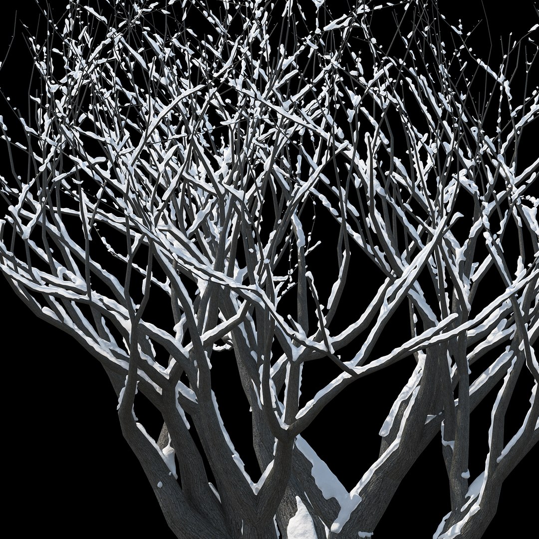 3D Winter Tree 021 Model - TurboSquid 1232614