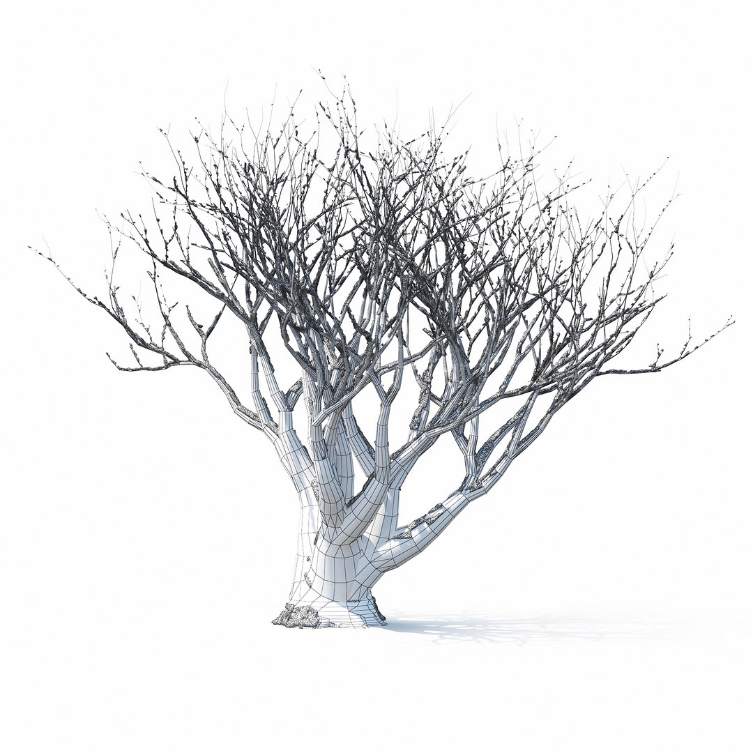 3D Winter Tree 021 Model - TurboSquid 1232614