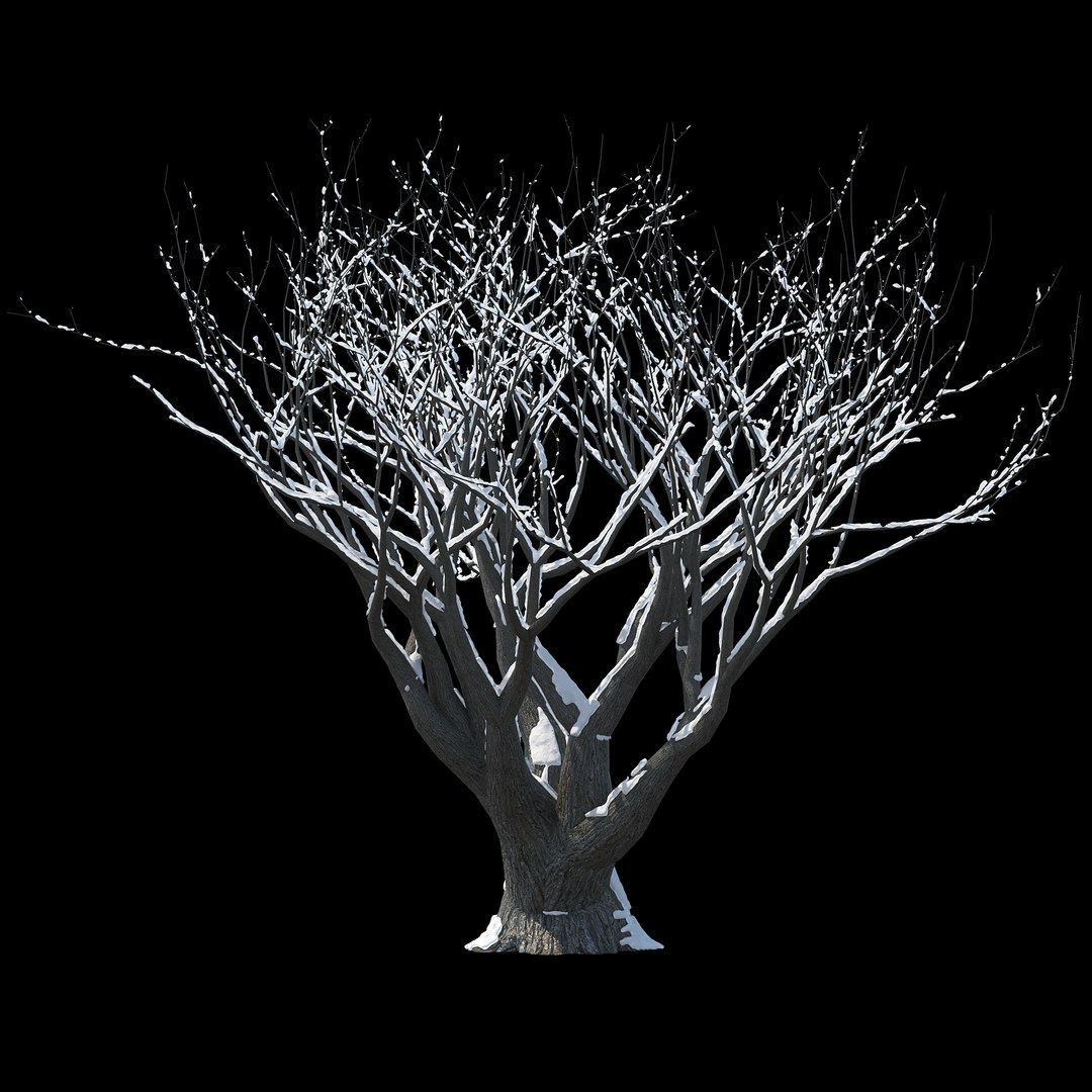 3D Winter Tree 021 Model - TurboSquid 1232614