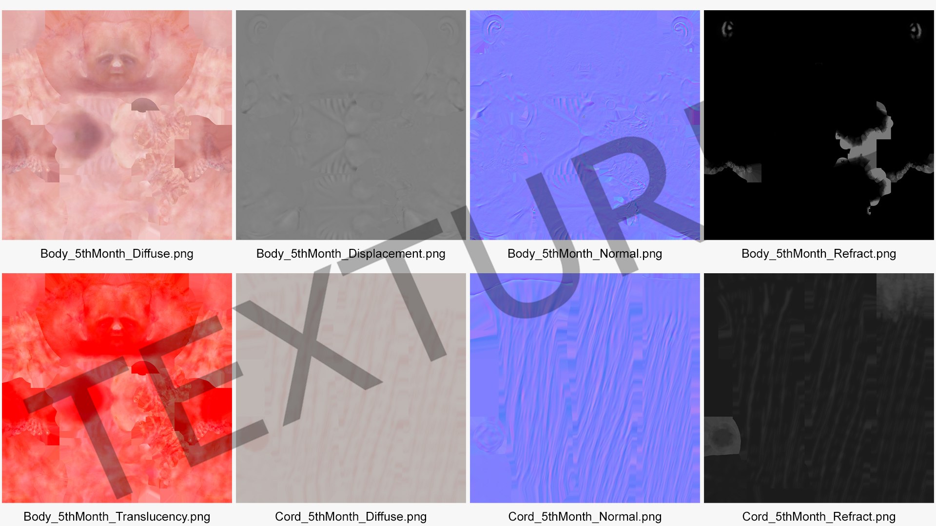 3D Model Human Fetus 20 Weeks - TurboSquid 1663028