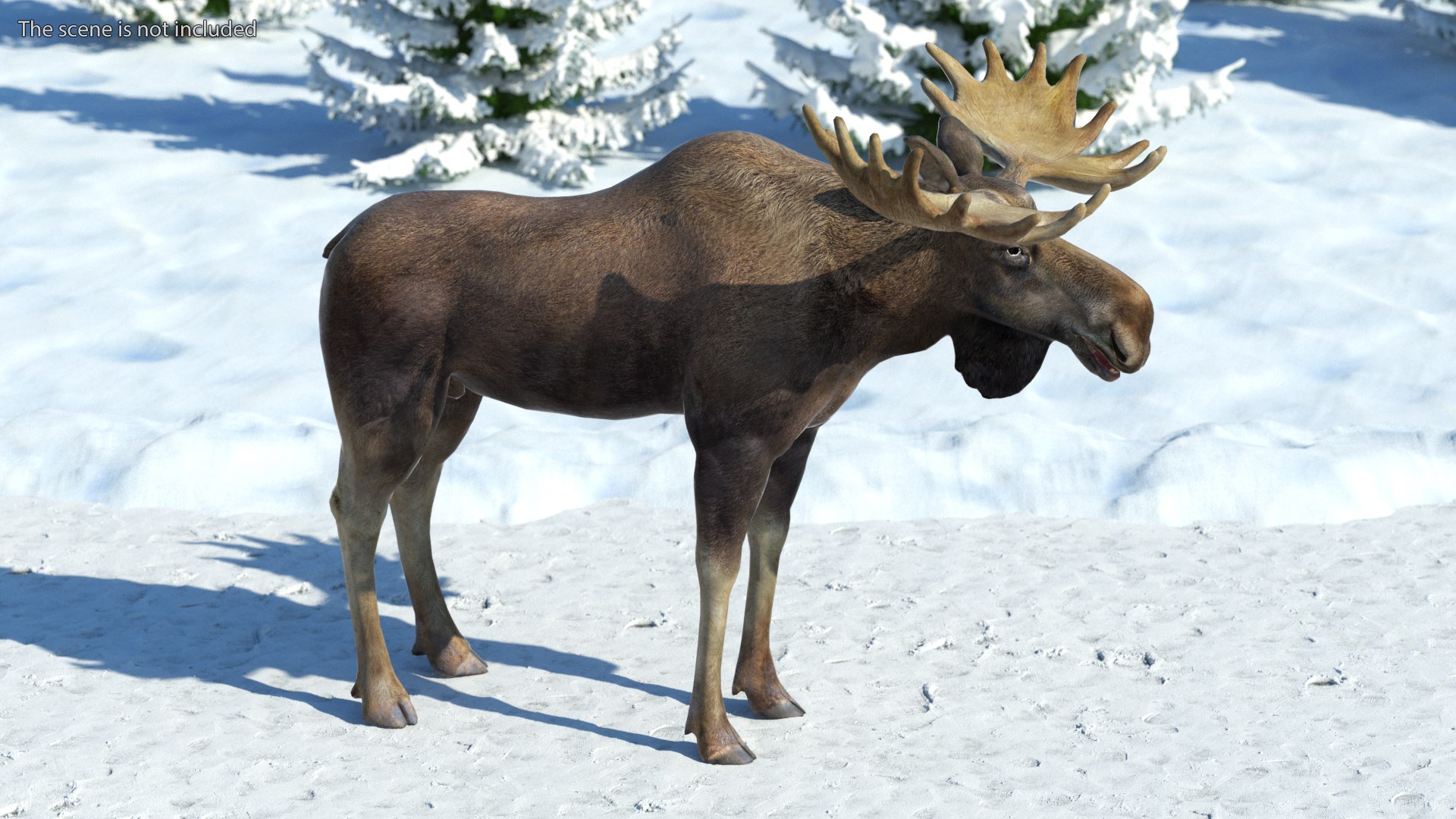 Elk No Fur Rigged Model - TurboSquid 2089671