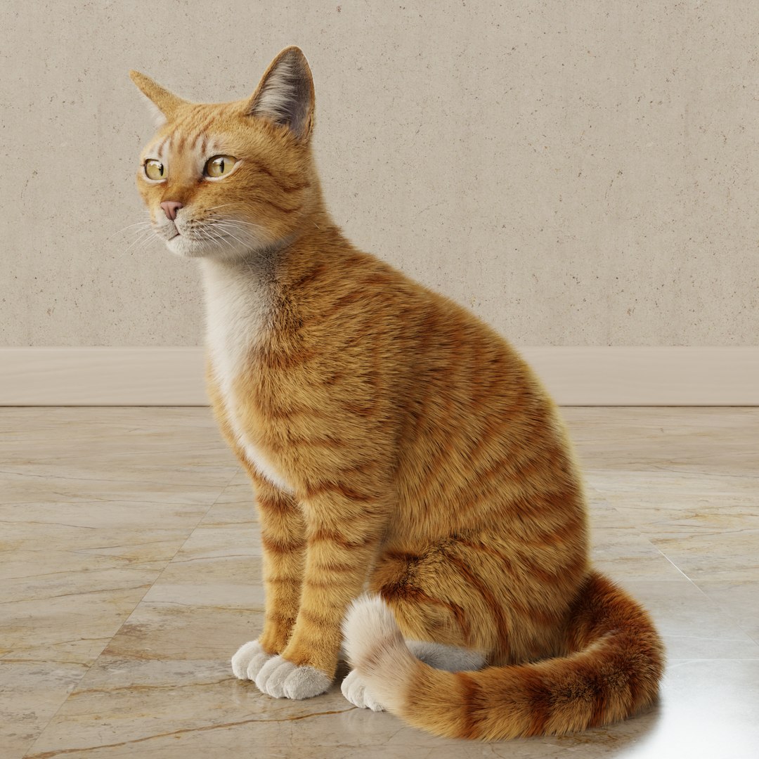 Cat Orange Tabby Rigged Animated 3D Model - TurboSquid 2114385