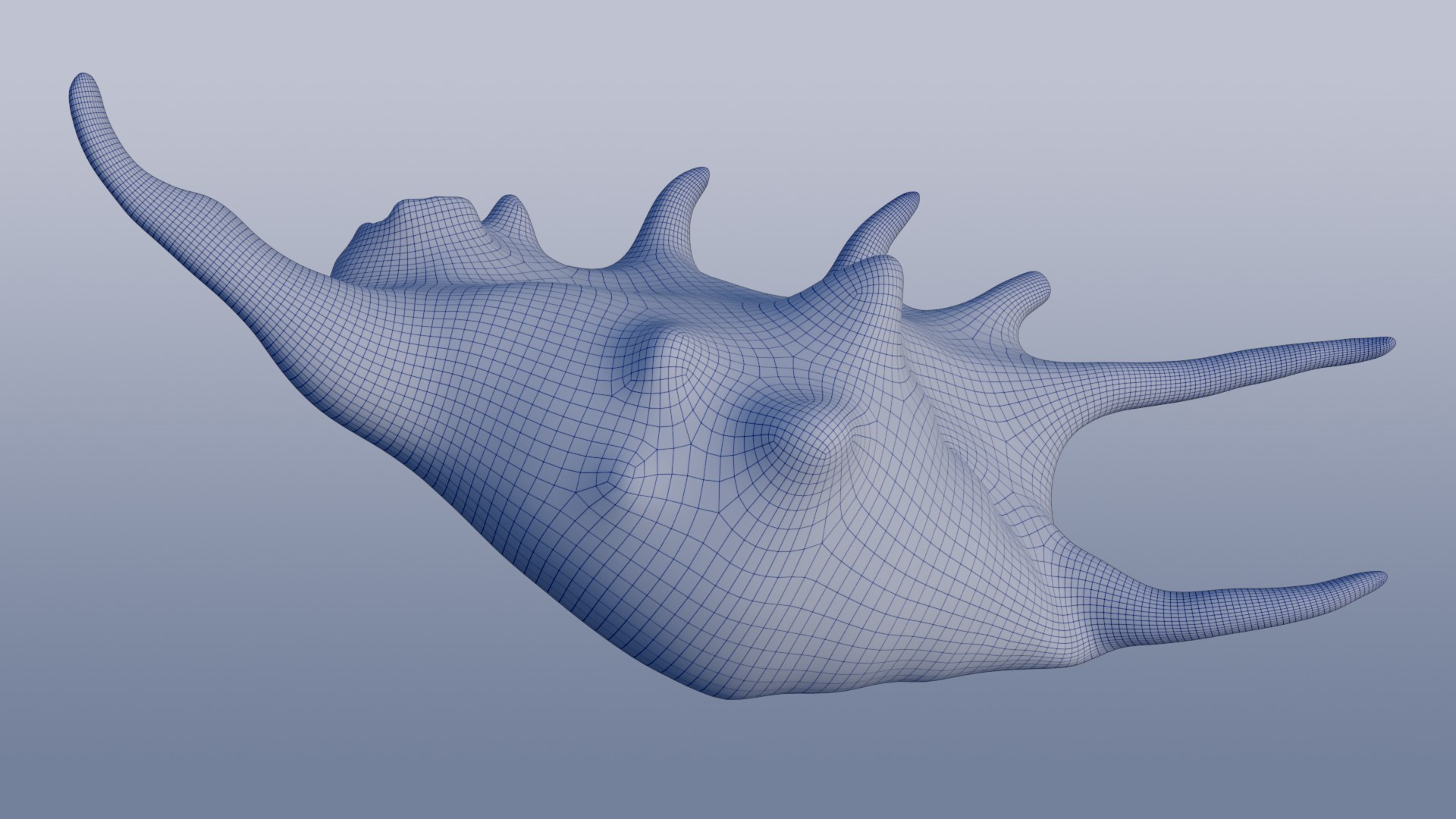 3D Sea Shell Spider Conch Lambis Lambis - TurboSquid 1941270