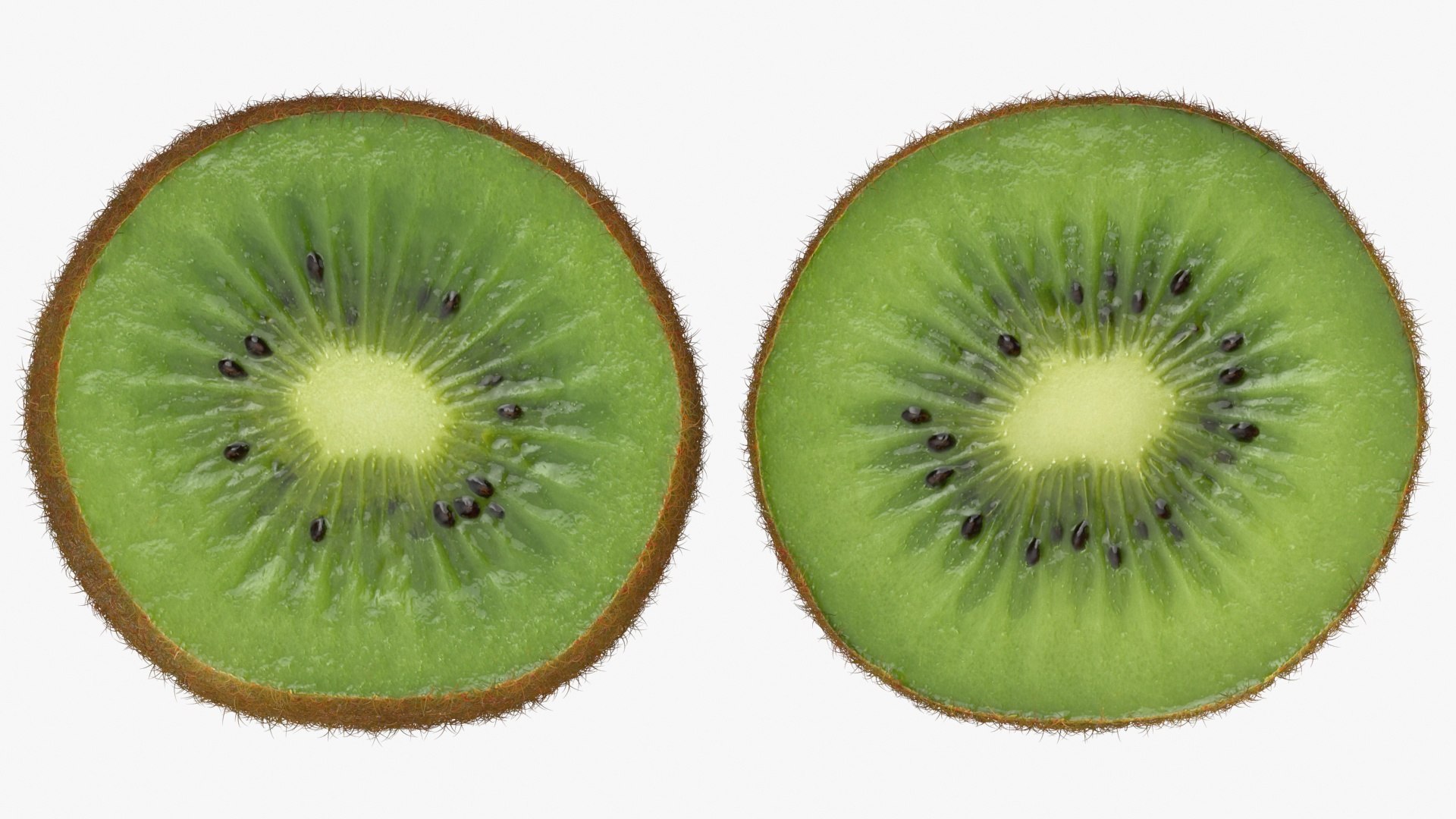 Kiwi Collection 3D Model - TurboSquid 2267912