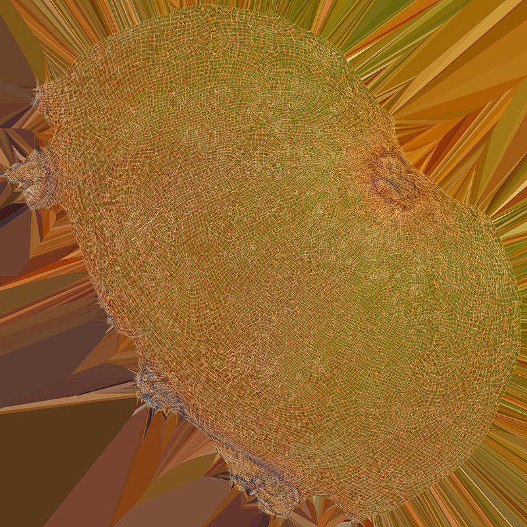 Kiwi Collection 3D Model - TurboSquid 2267912