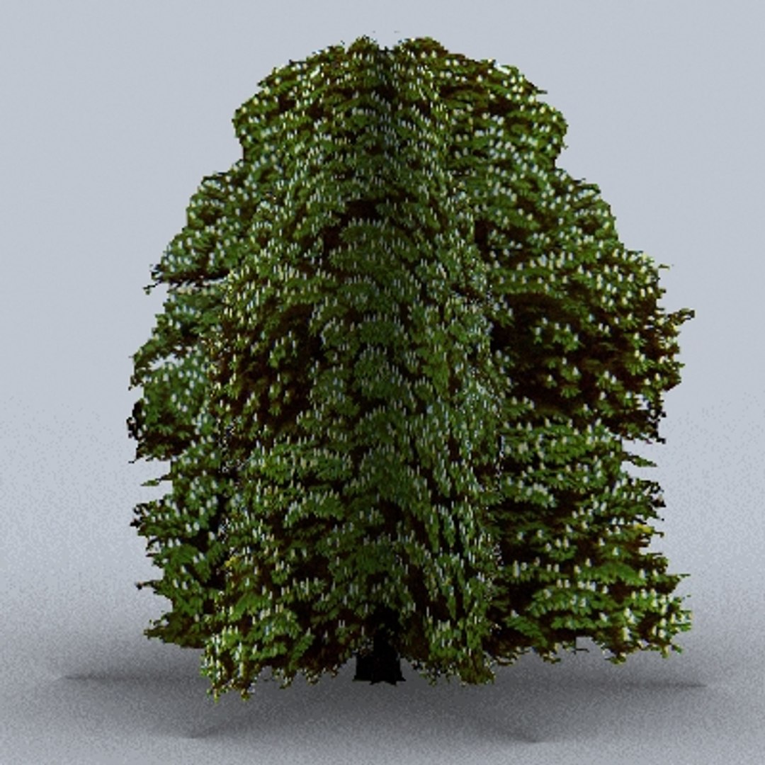Large Trees 3d Model
