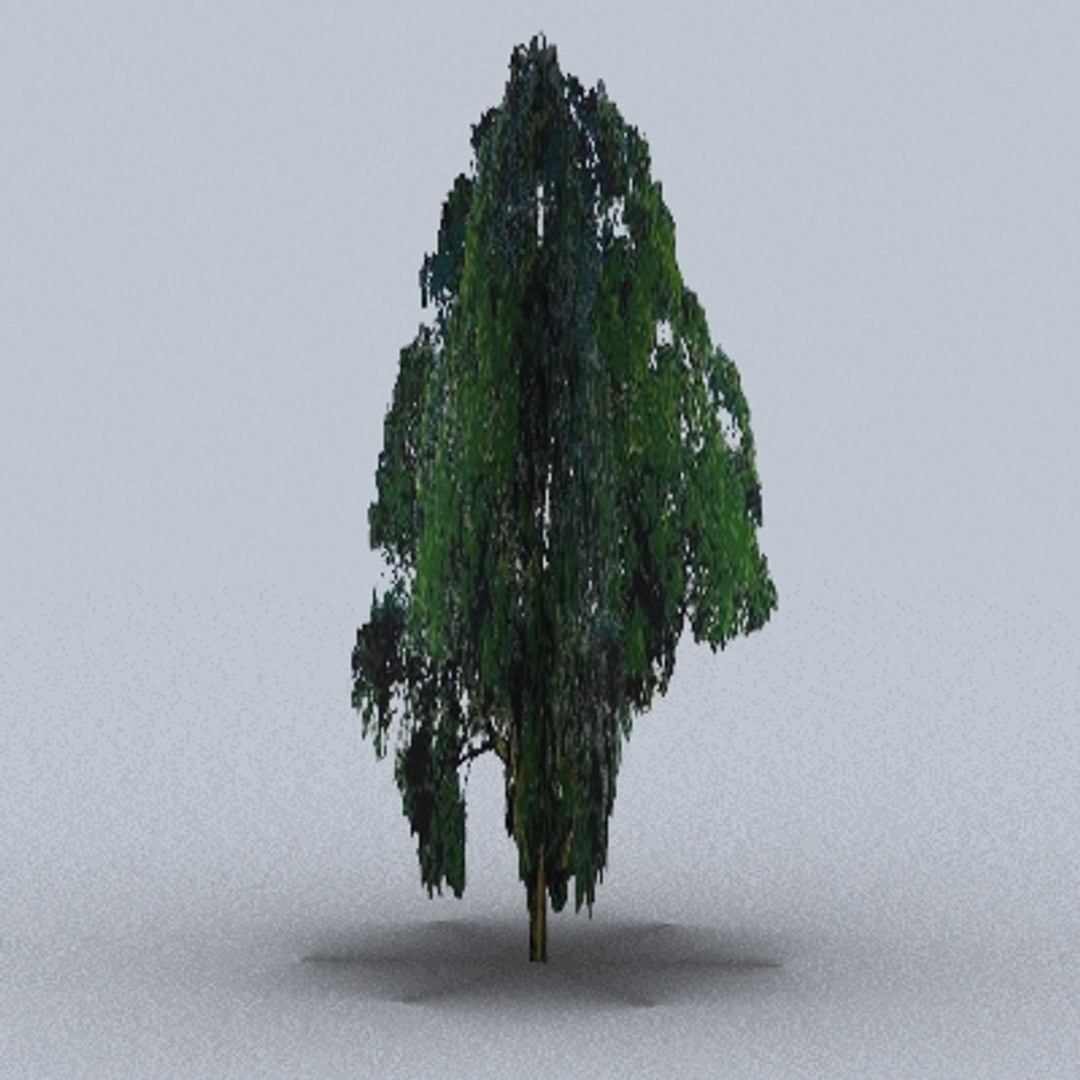 Large Trees 3d Model