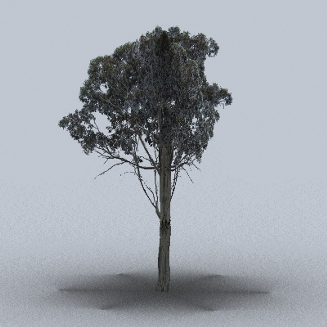 Large Trees 3d Model