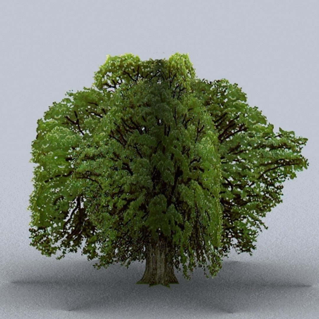 large trees 3d model