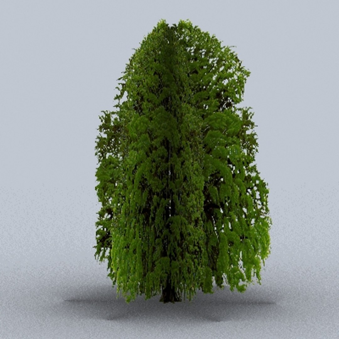 large trees 3d model